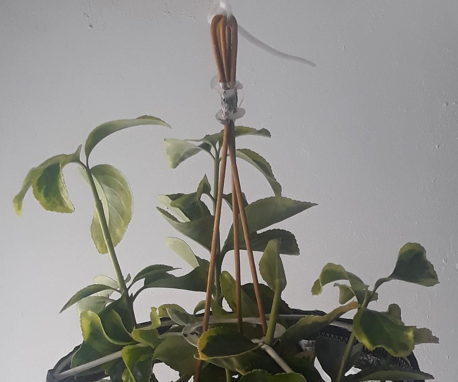 Zippered Hanging Plant Protector : 4 Steps - Instructables