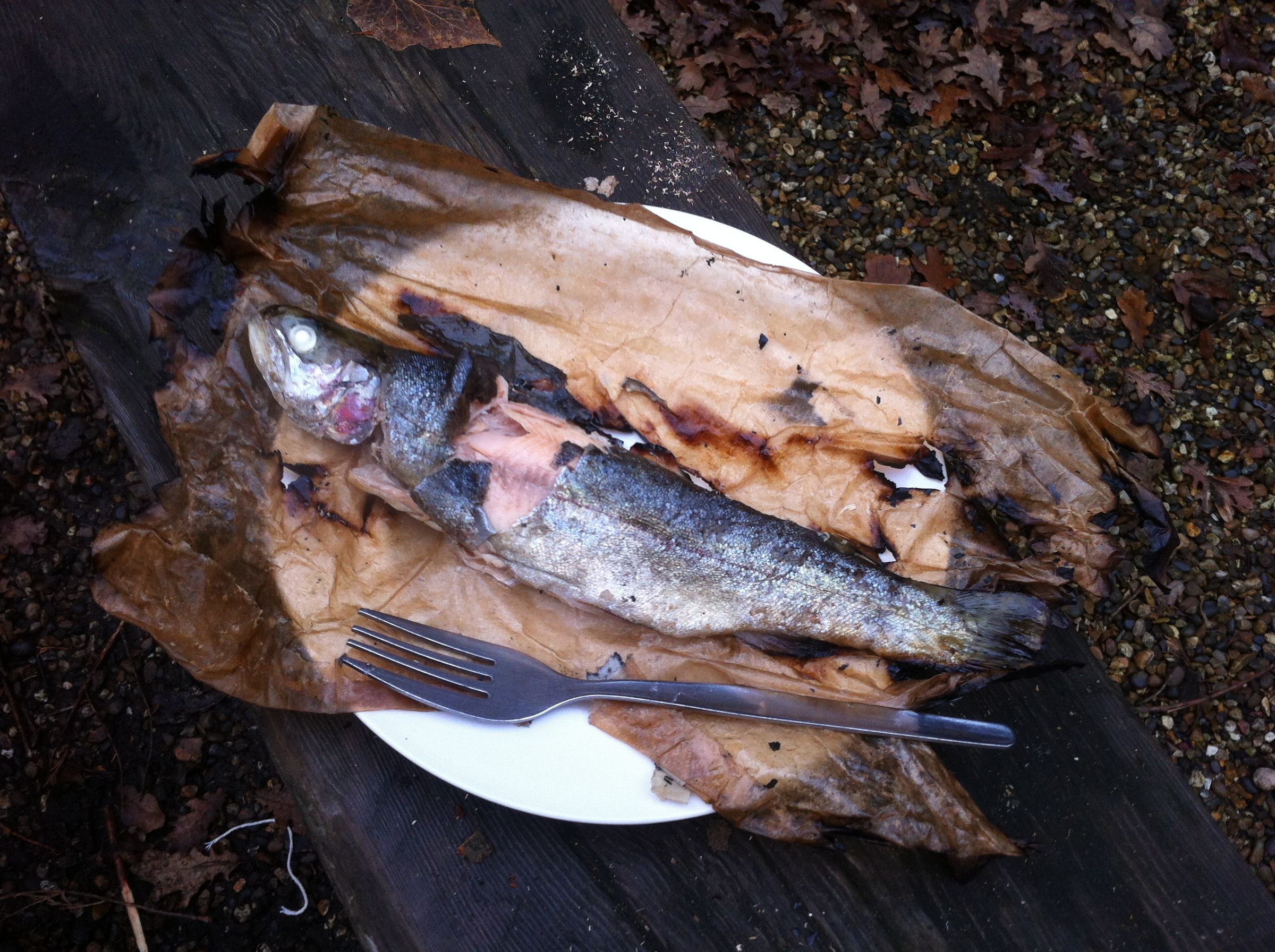 Cooking a Fish in Newspaper : 5 Steps (with Pictures) - Instructables