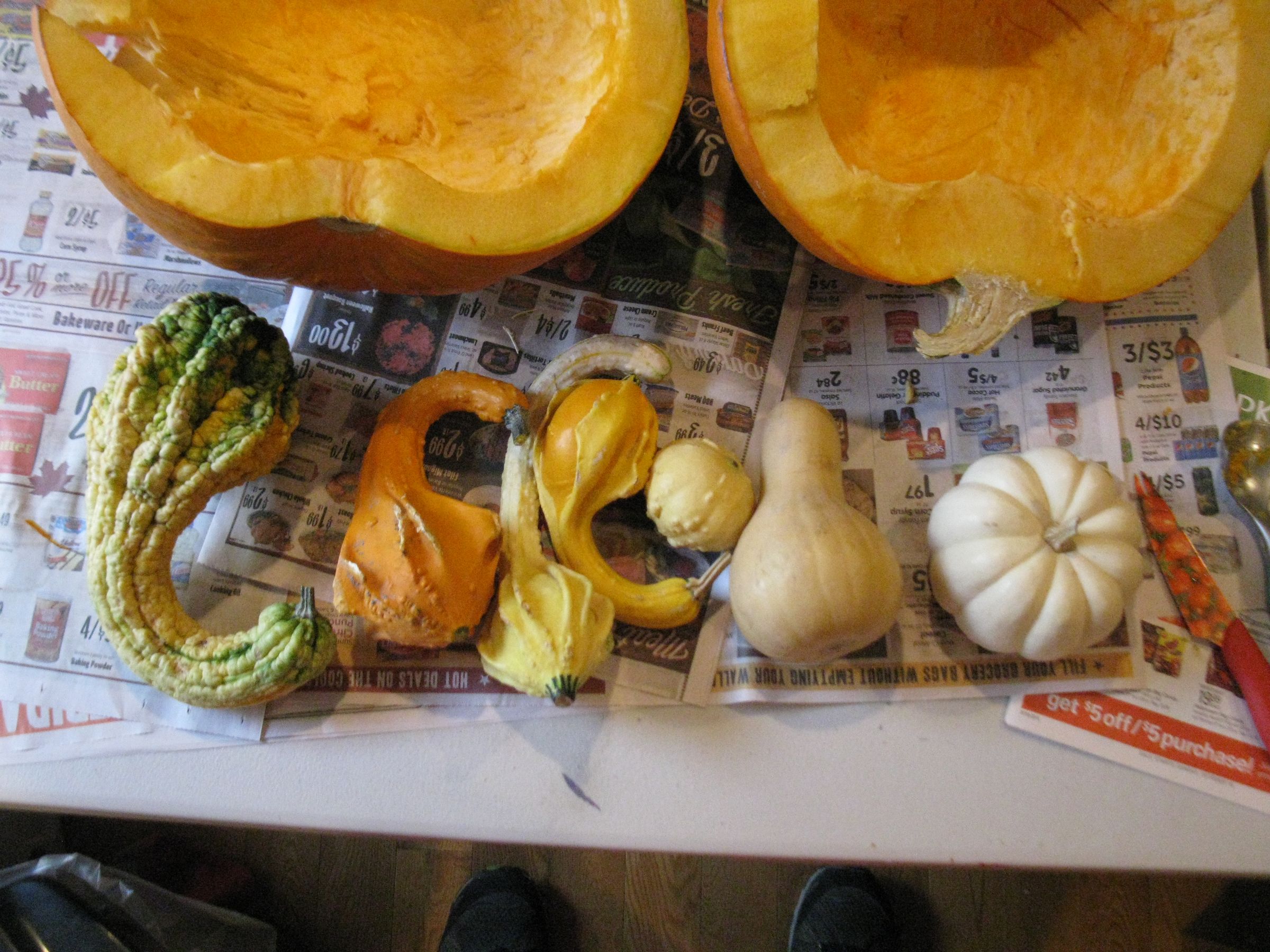 Anatomy of a Jack-O-Lantern : 3 Steps (with Pictures) - Instructables