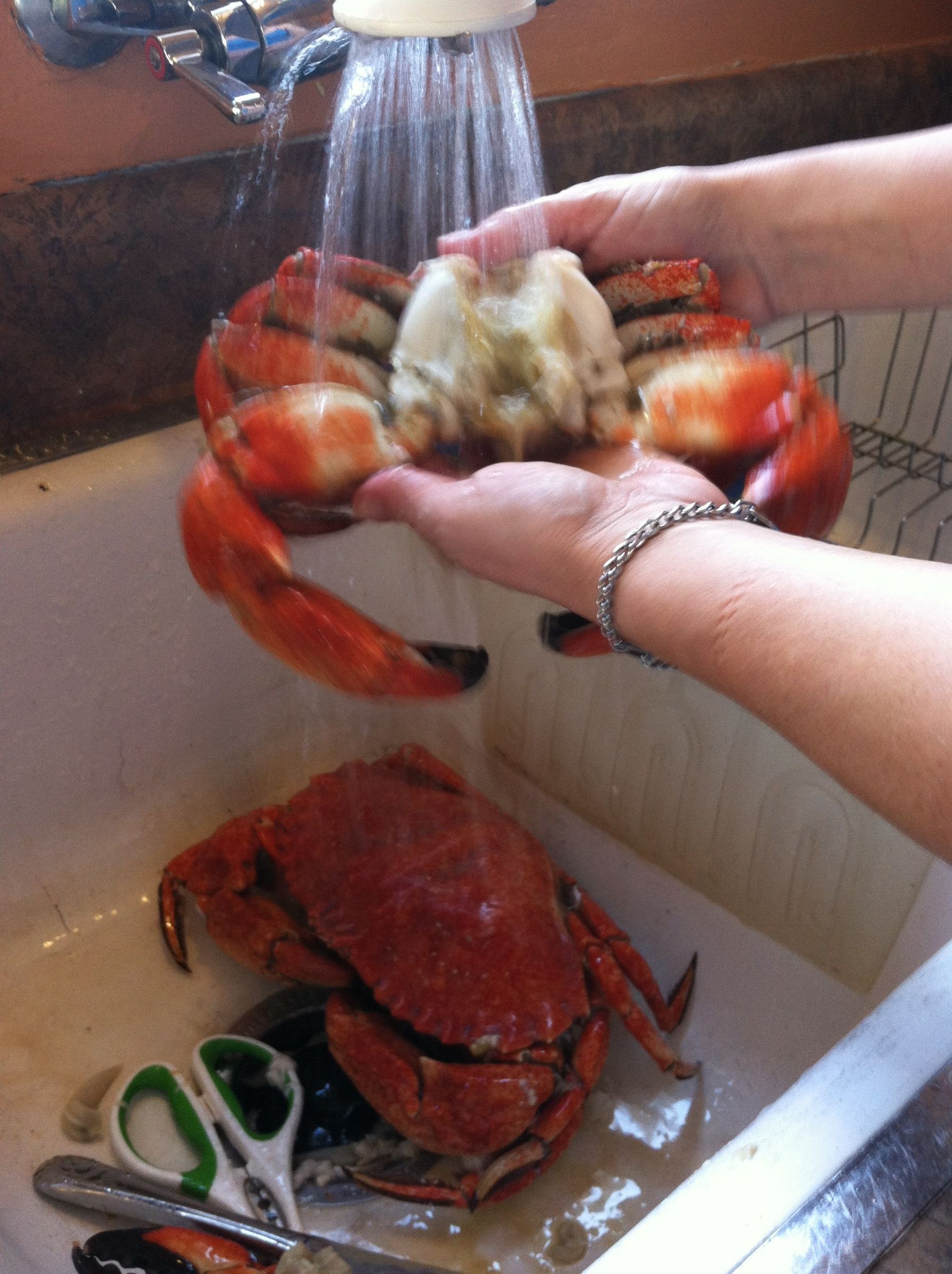 How to Cook and Clean a Crab : 7 Steps - Instructables