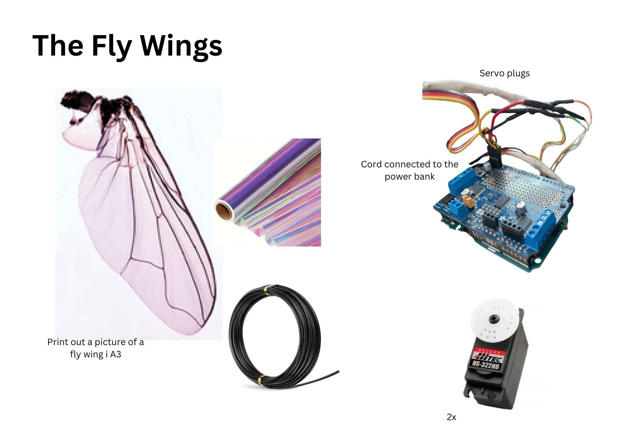 Fly Simulator (Fly Empathy Generator) : 4 Steps - Instructables