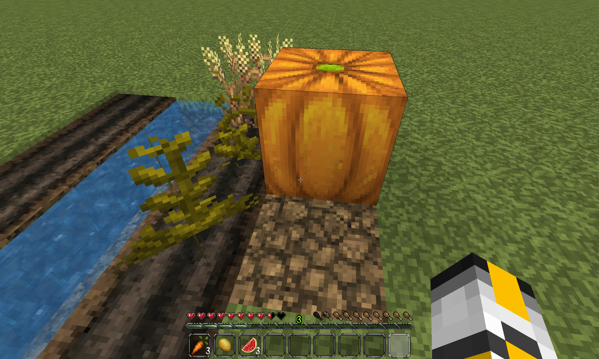Minecraft Farming 101 : 6 Steps - Instructables