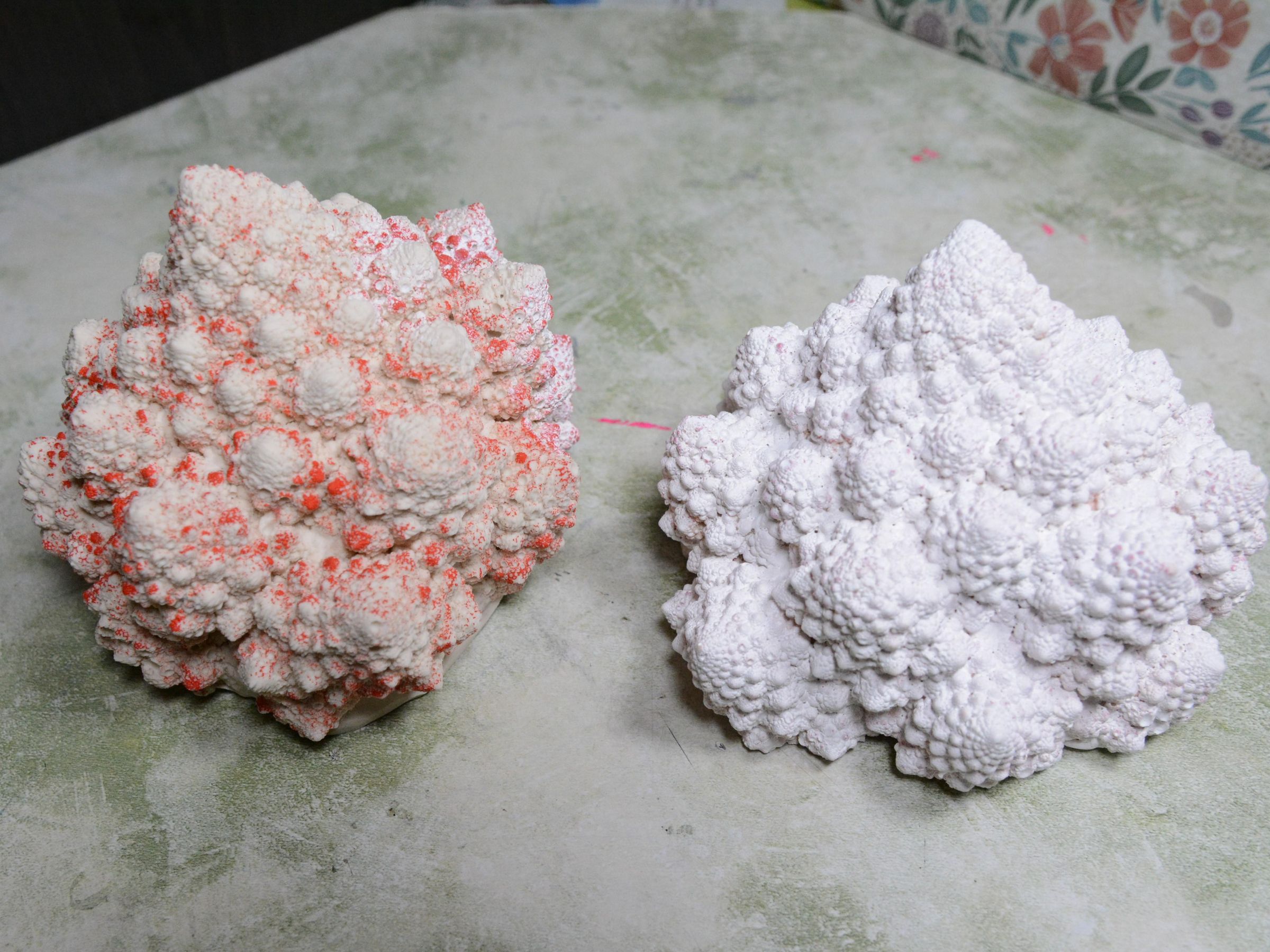 Turn Romanesco Broccoli Into a Candle : 17 Steps (with Pictures ...