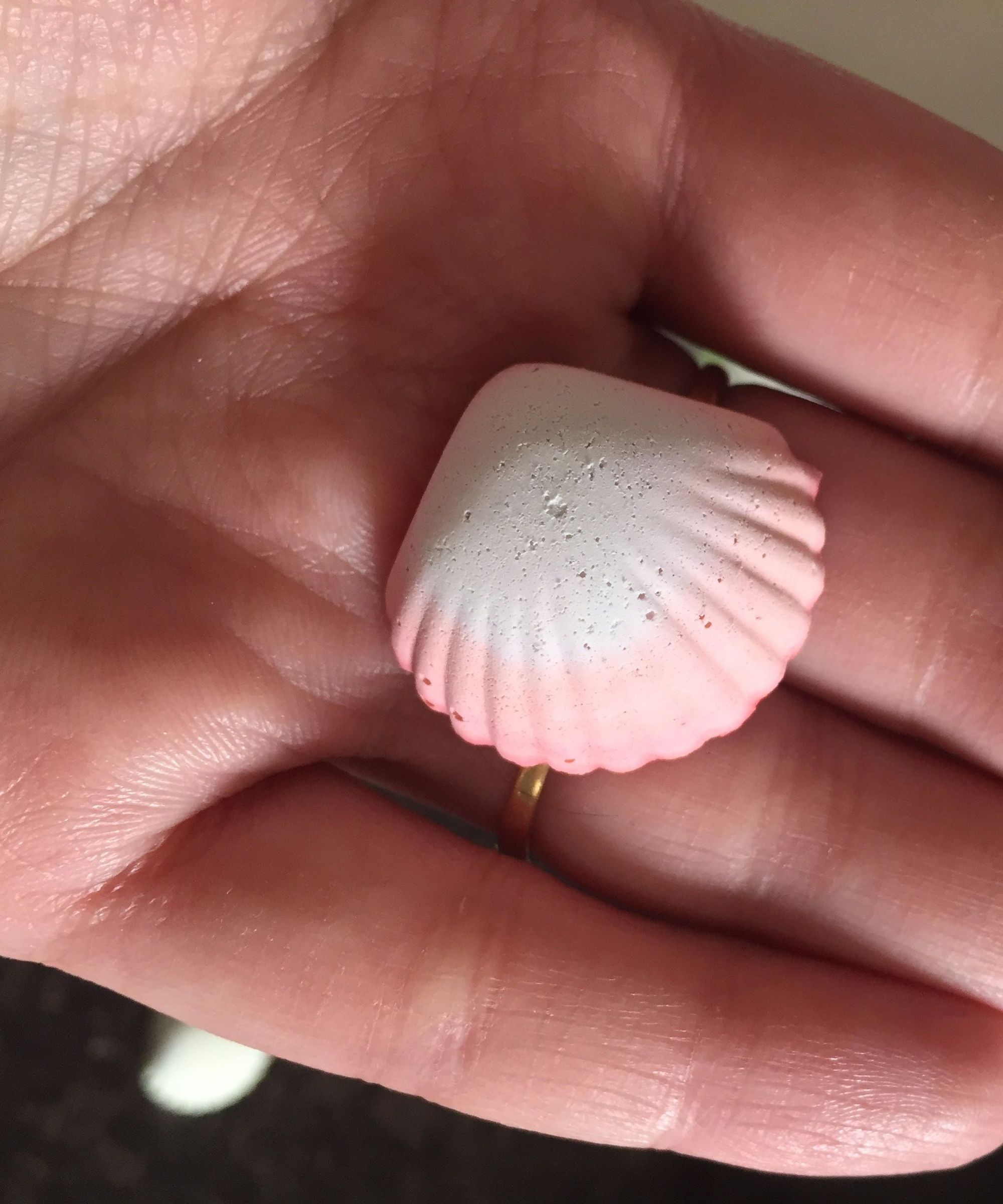 Sea Shell (pop) : 4 Steps (with Pictures) - Instructables