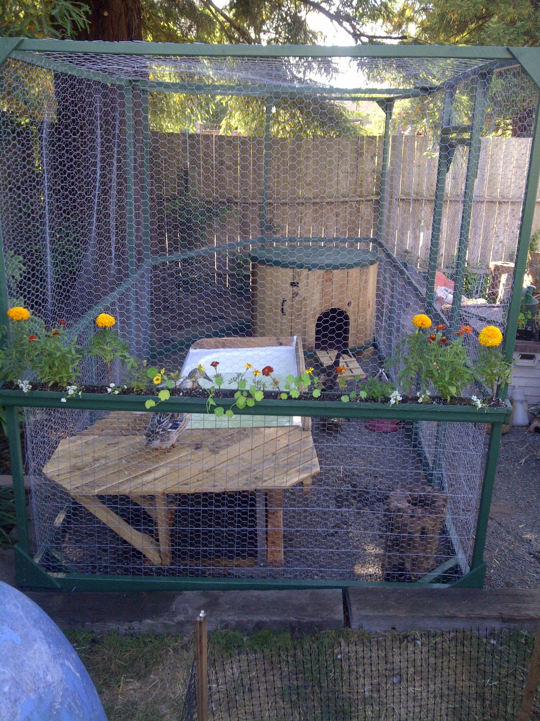 Cable Spool Duck House : 7 Steps (with Pictures) - Instructables