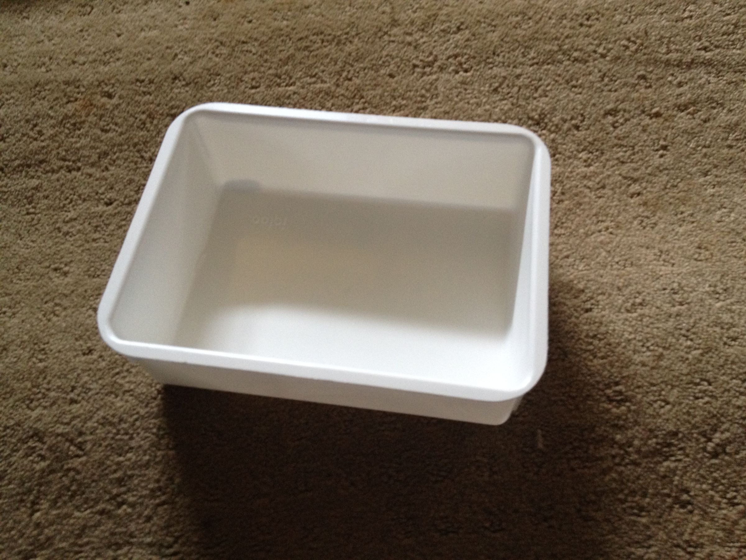 Avocado Seed Tray : 7 Steps - Instructables