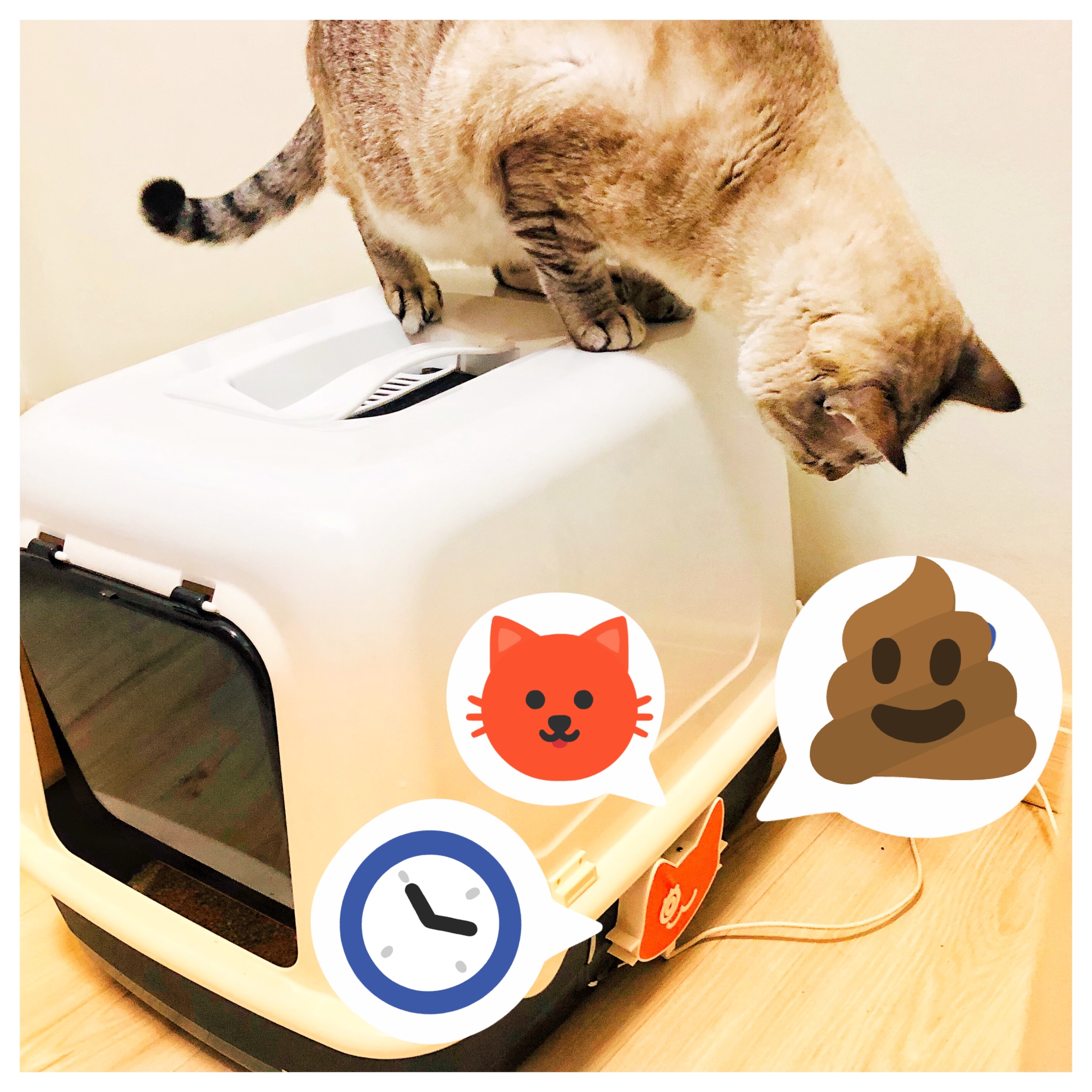 Iot Cat Litter Box (with Esp32, Arduino Ide, Thingspeak And 3d Printing 