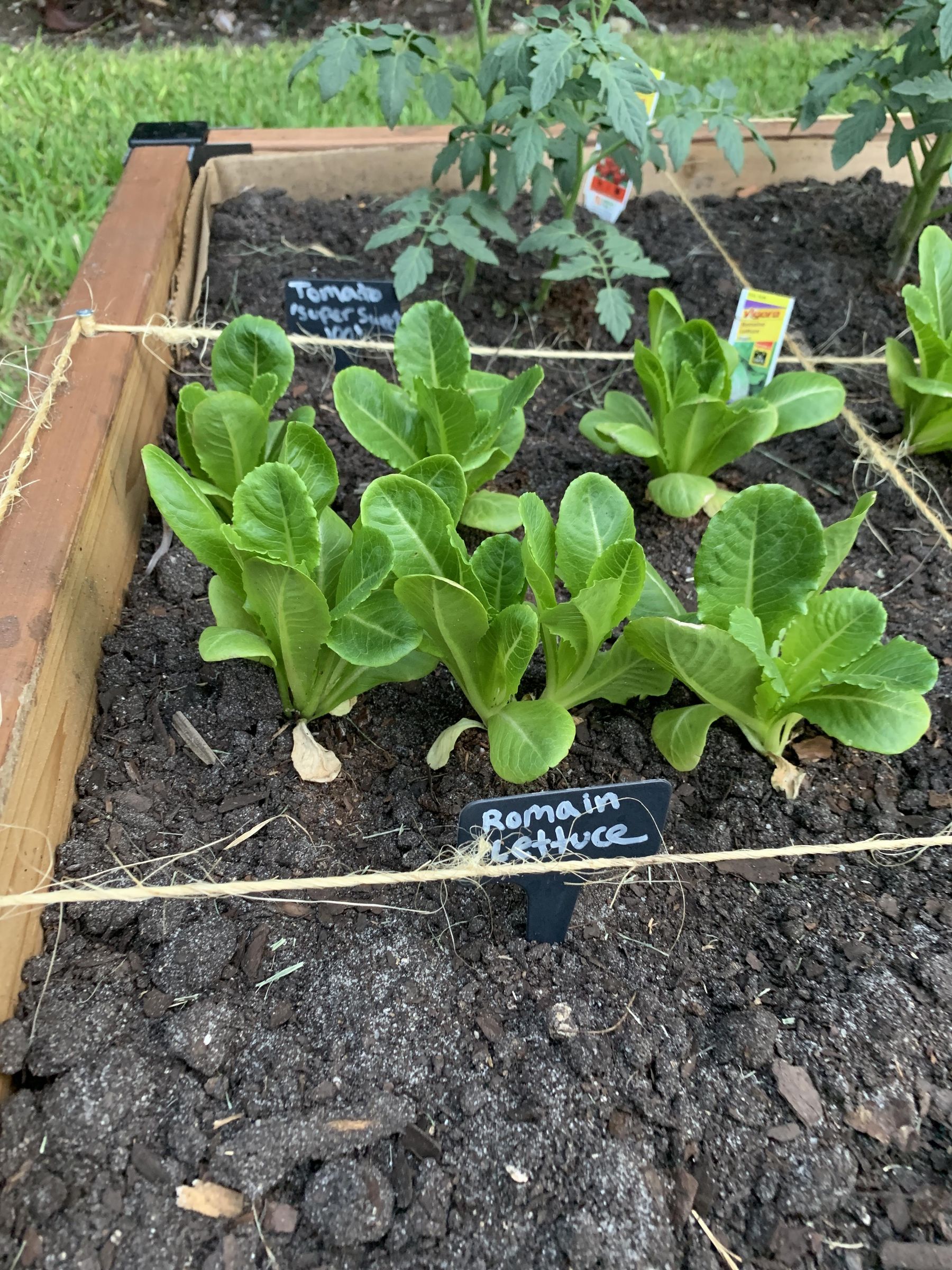 How to Create a Garden : 10 Steps (with Pictures) - Instructables
