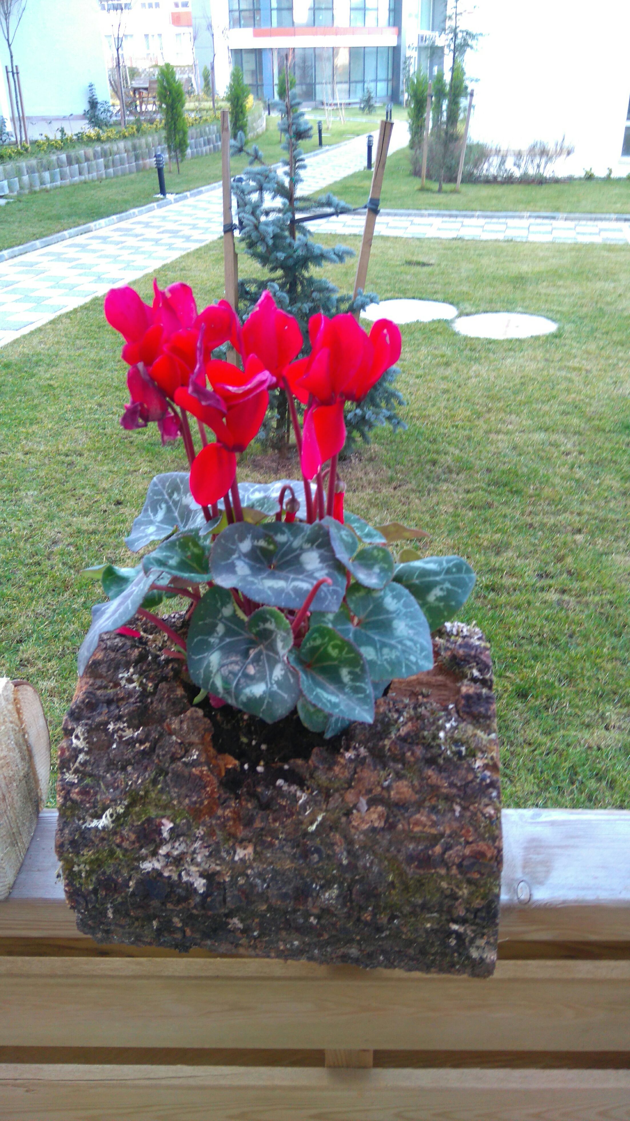 Log Flower Pot - Instructables