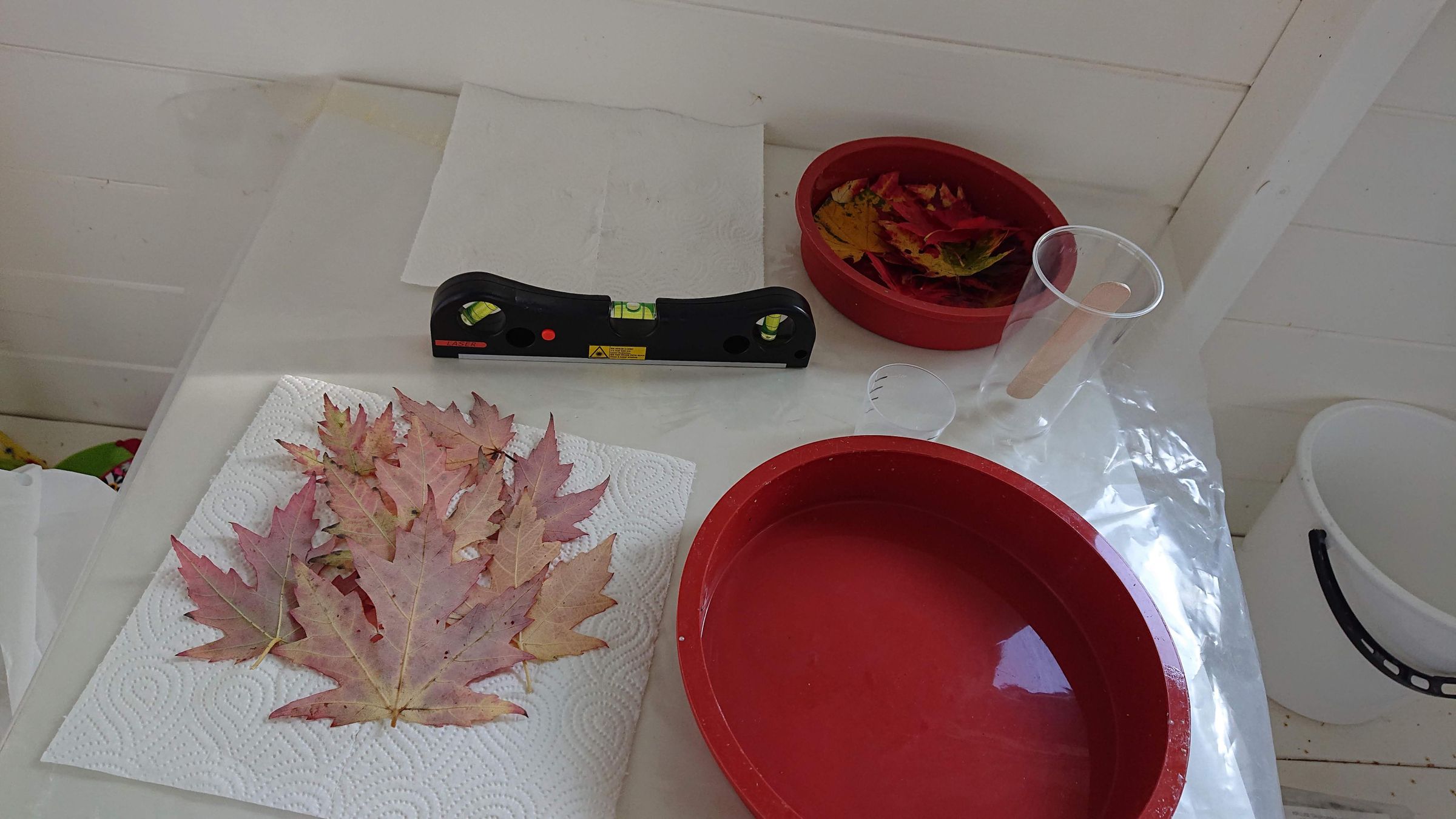 Leaf Clock : 5 Steps (with Pictures) - Instructables