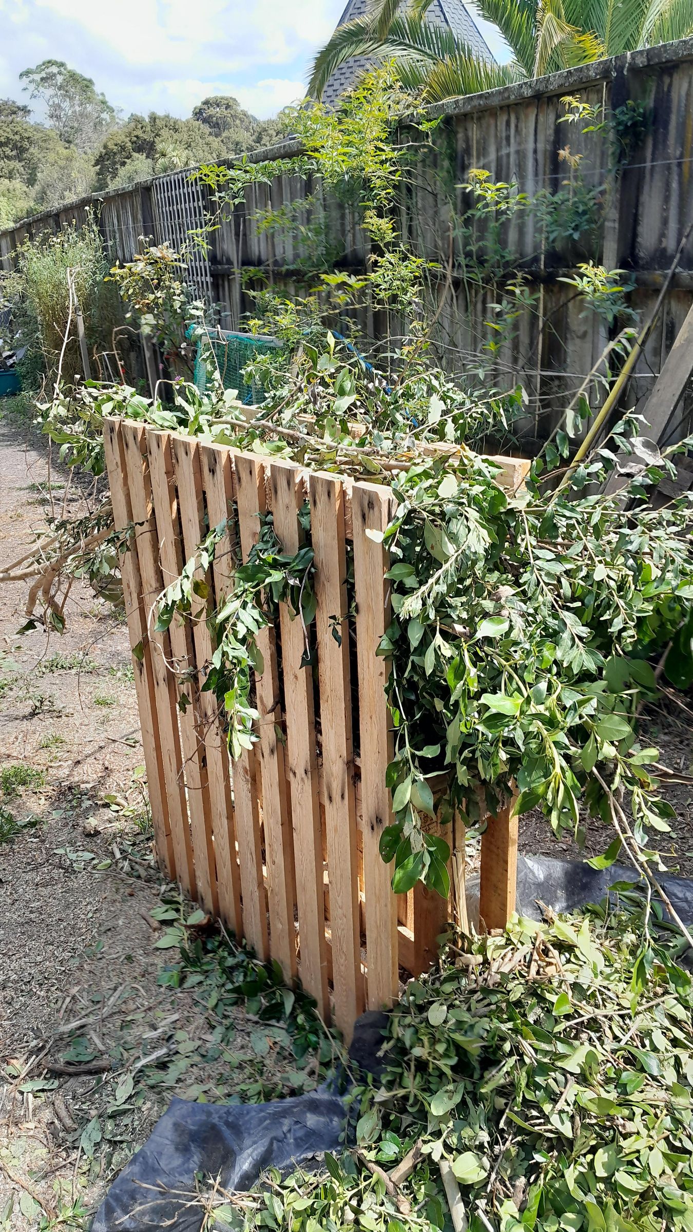 DIY Pallet and Chainsaw Mulching Rack - for Easy Vegetation Shredding ...