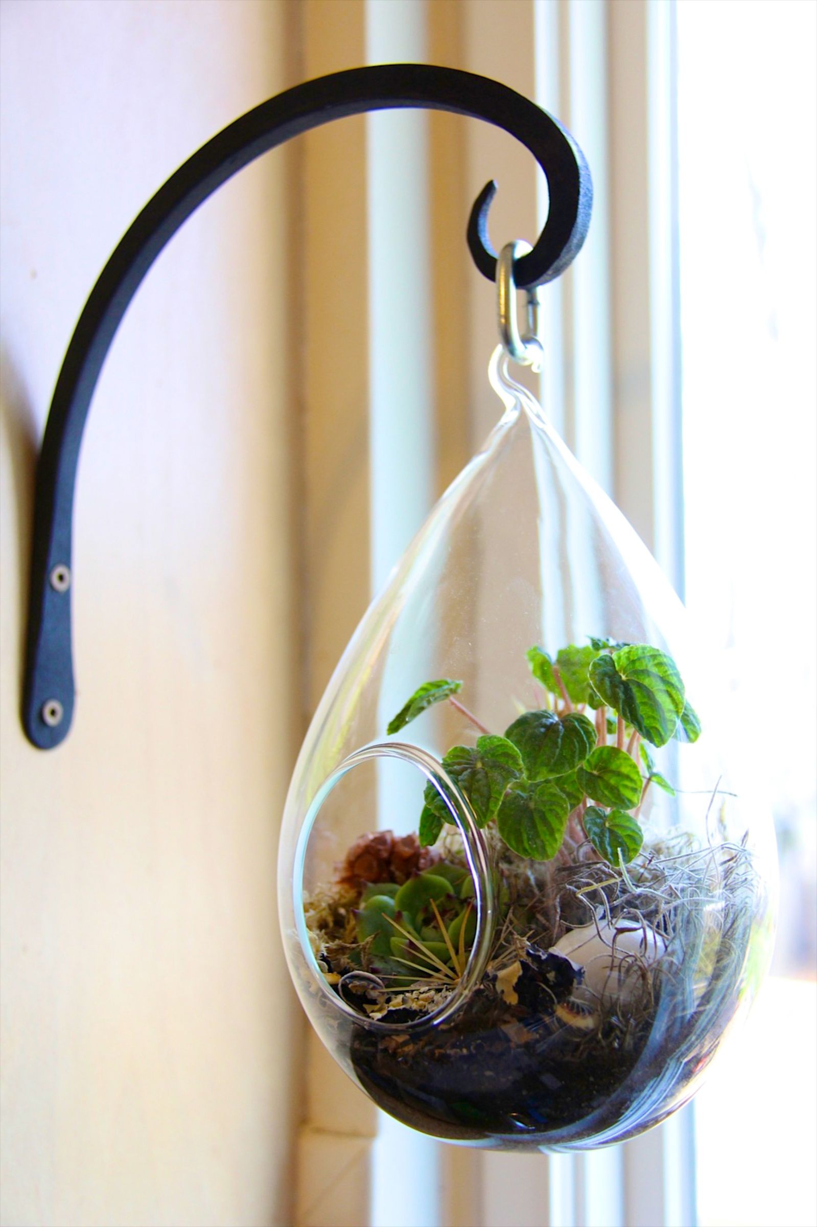 How to Make a Terrarium : 7 Steps (with Pictures) - Instructables