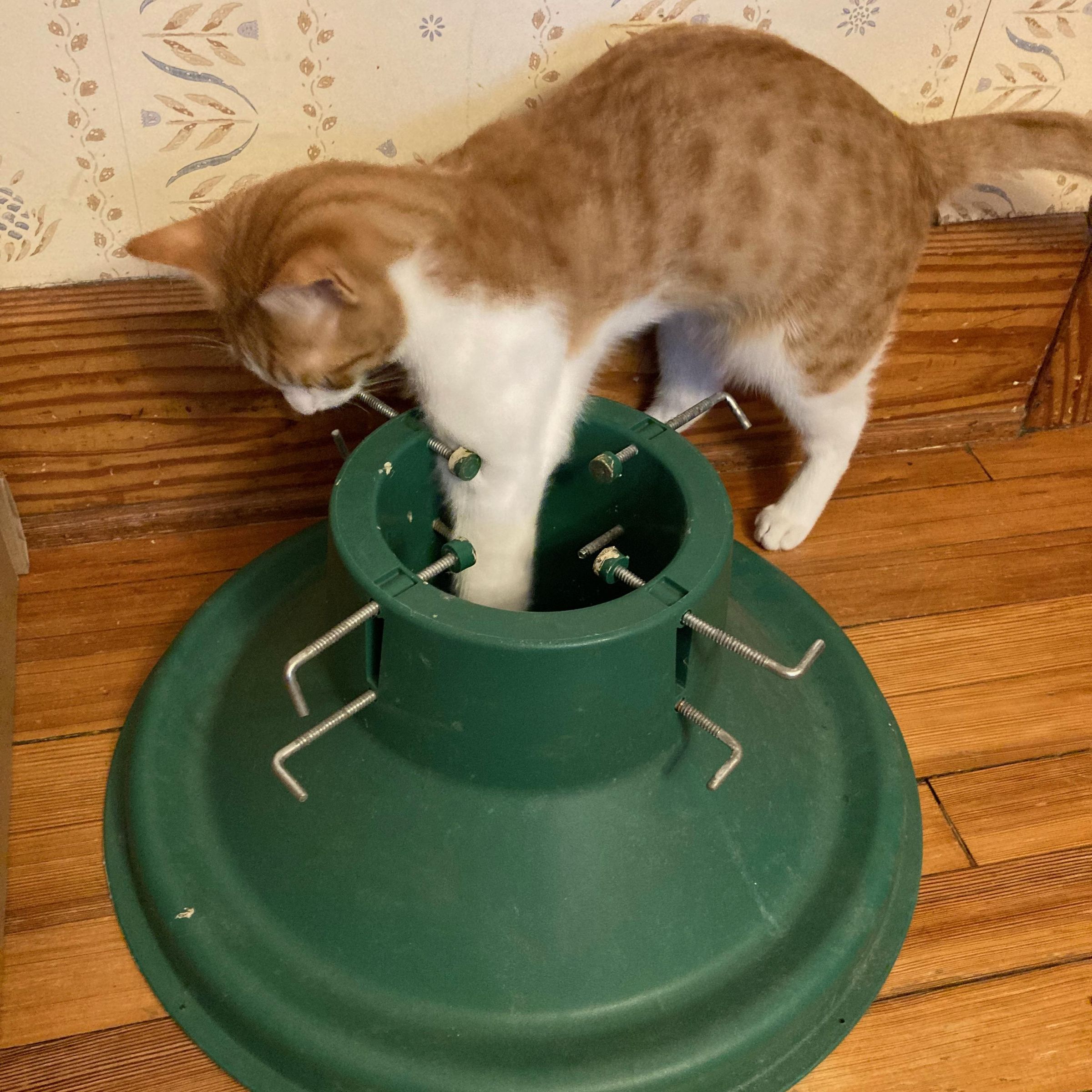 Cat Tree for Your Climber Cat : 8 Steps (with Pictures) - Instructables