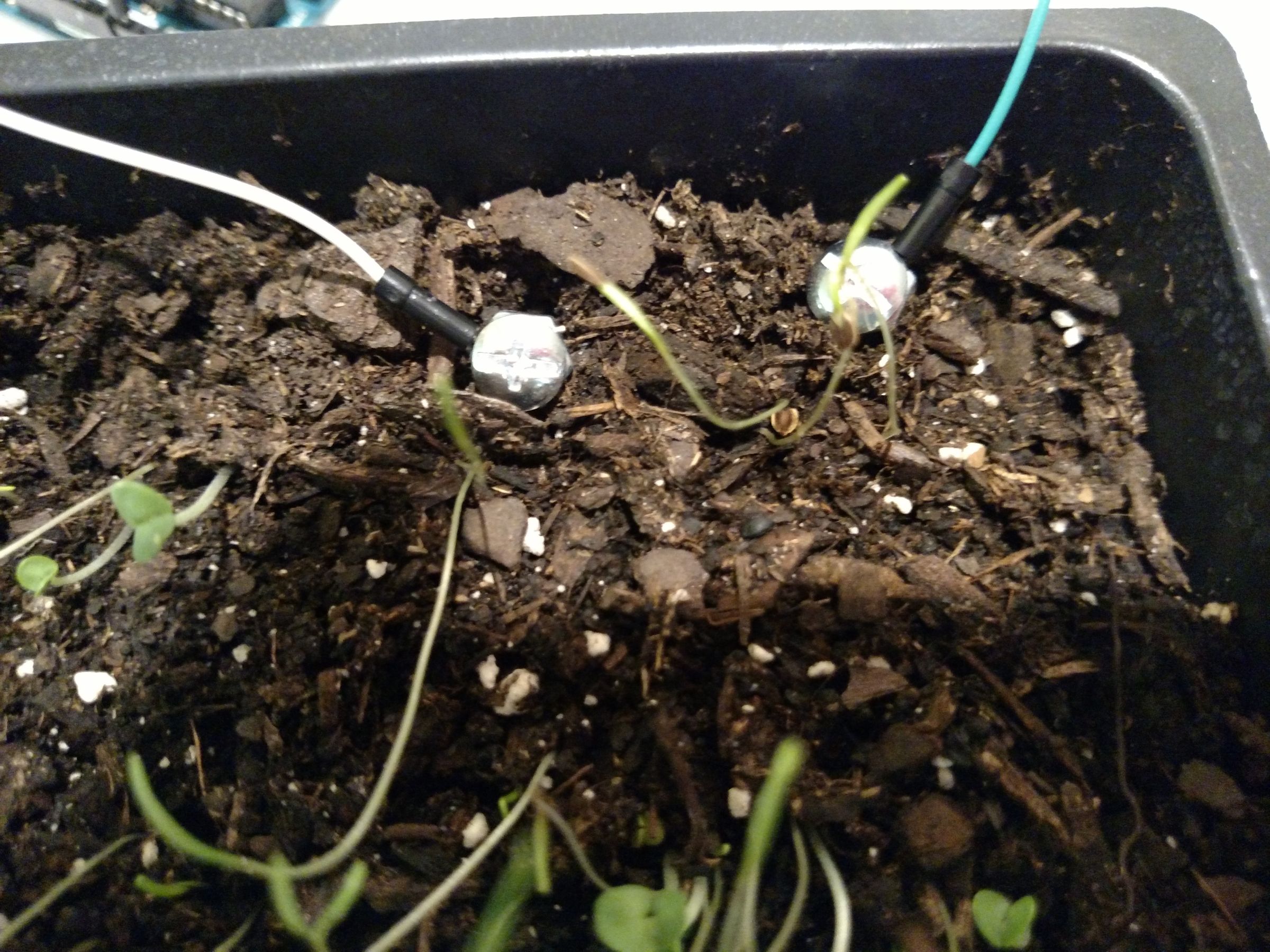 DIY Plant Moisture Sensor W/ Arduino : 6 Steps (with Pictures ...