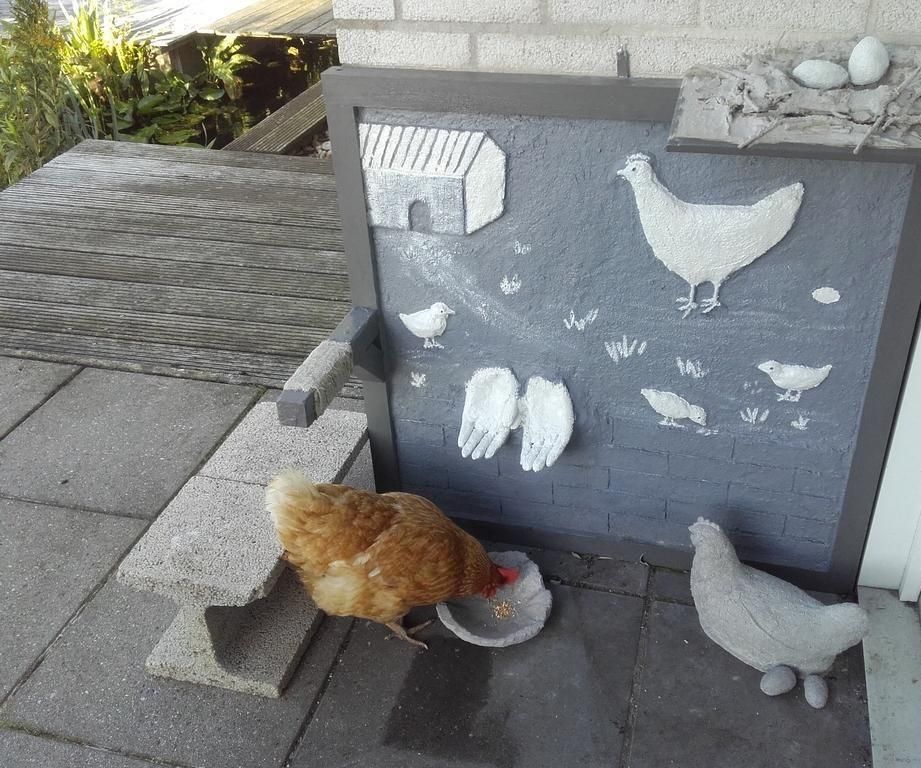 Several Methods to Use Cement to Make Concrete Chickens : 13 Steps ...