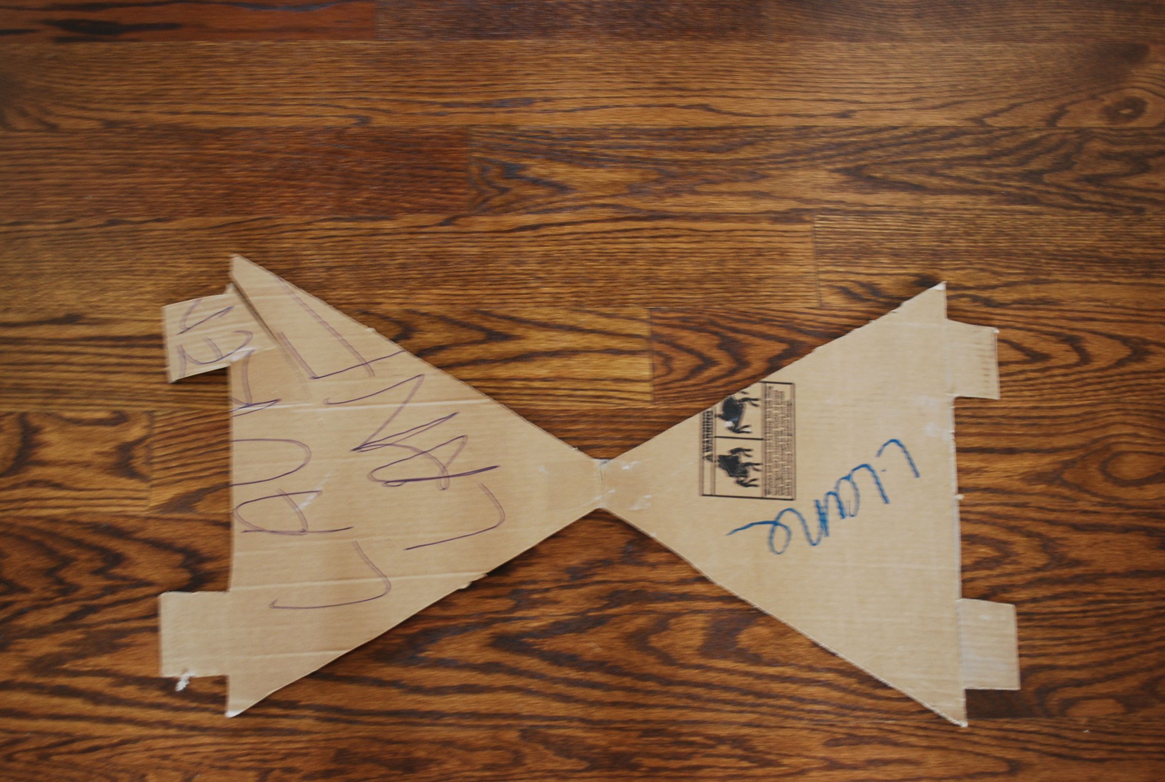 Fun to Make! Fun to Wear! 100% Eco-Friendly Angelfish Costume : 7 Steps ...