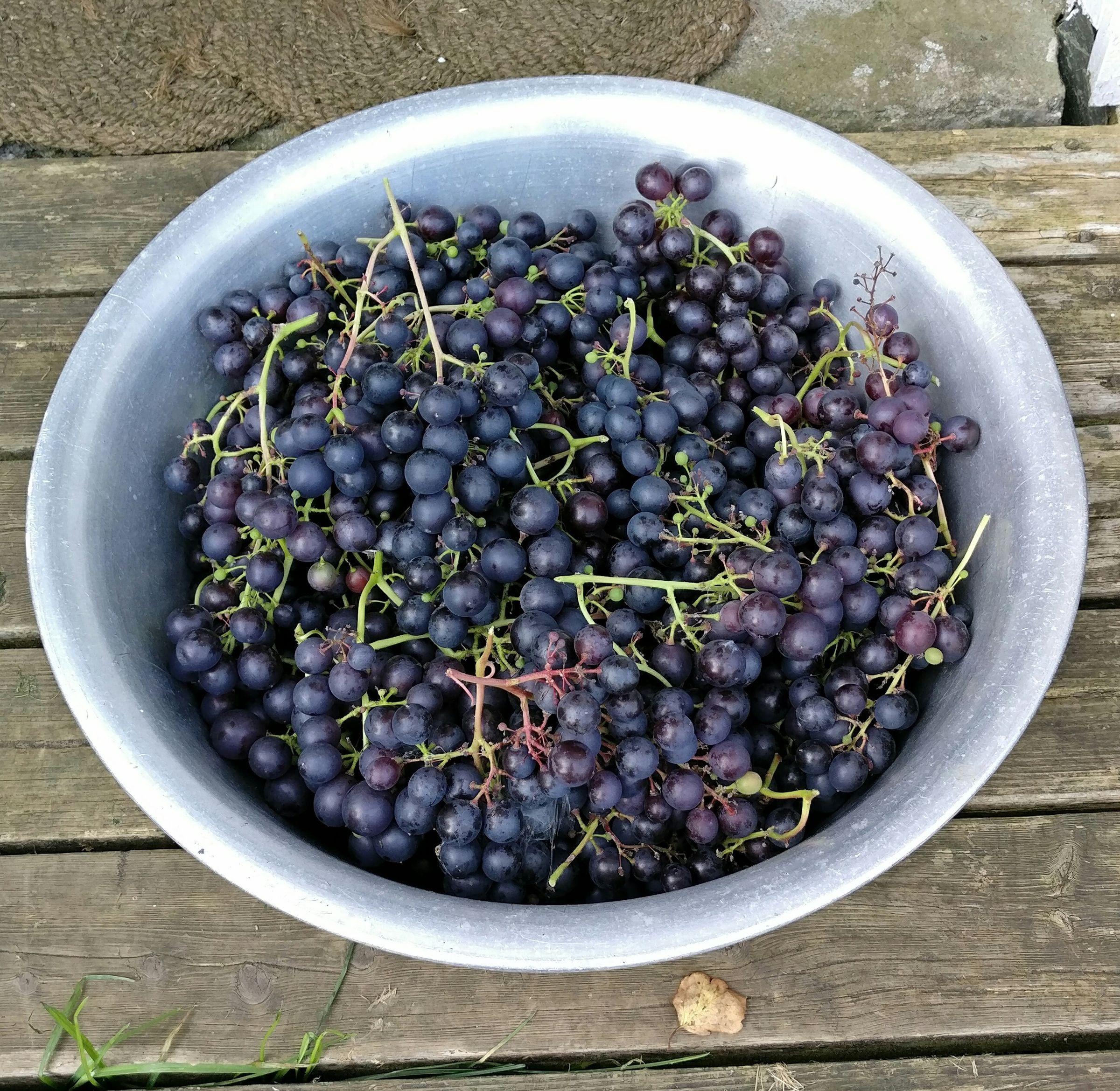 Make Raisins in the Oven : 3 Steps (with Pictures) - Instructables