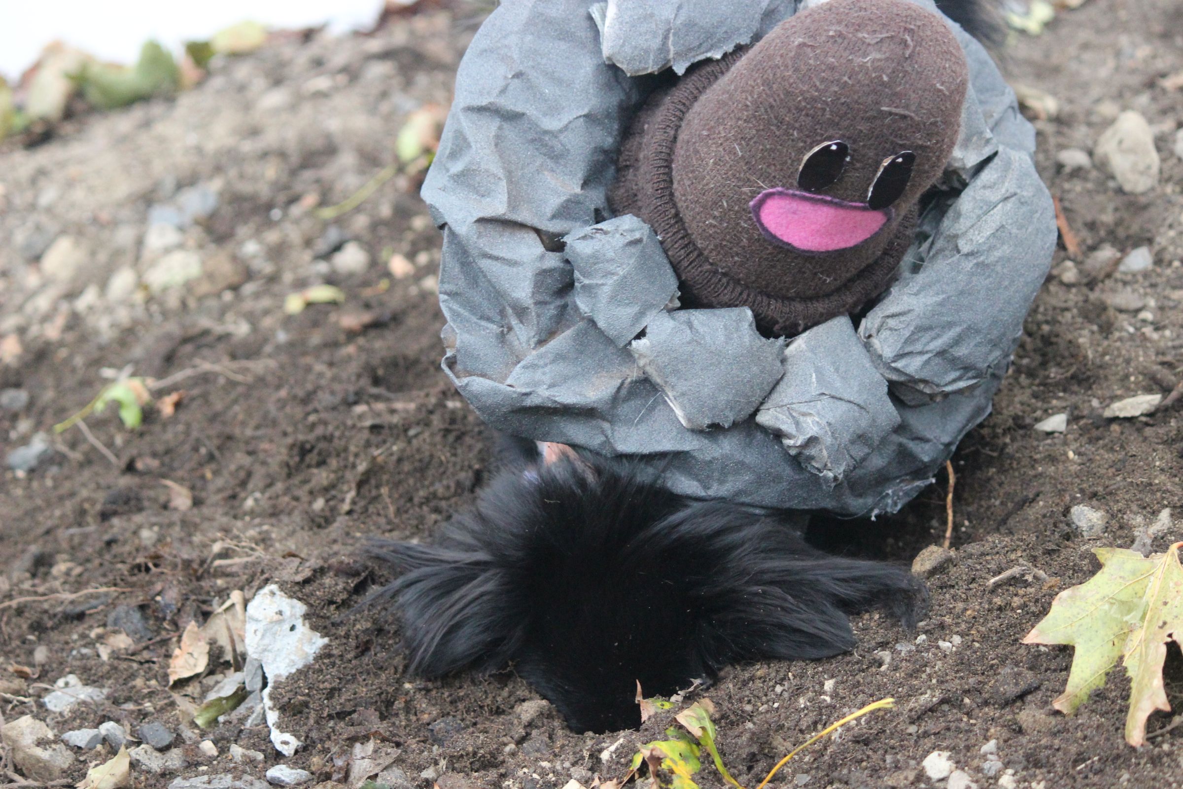Diglett Dog Costume : 14 Steps (with Pictures) - Instructables
