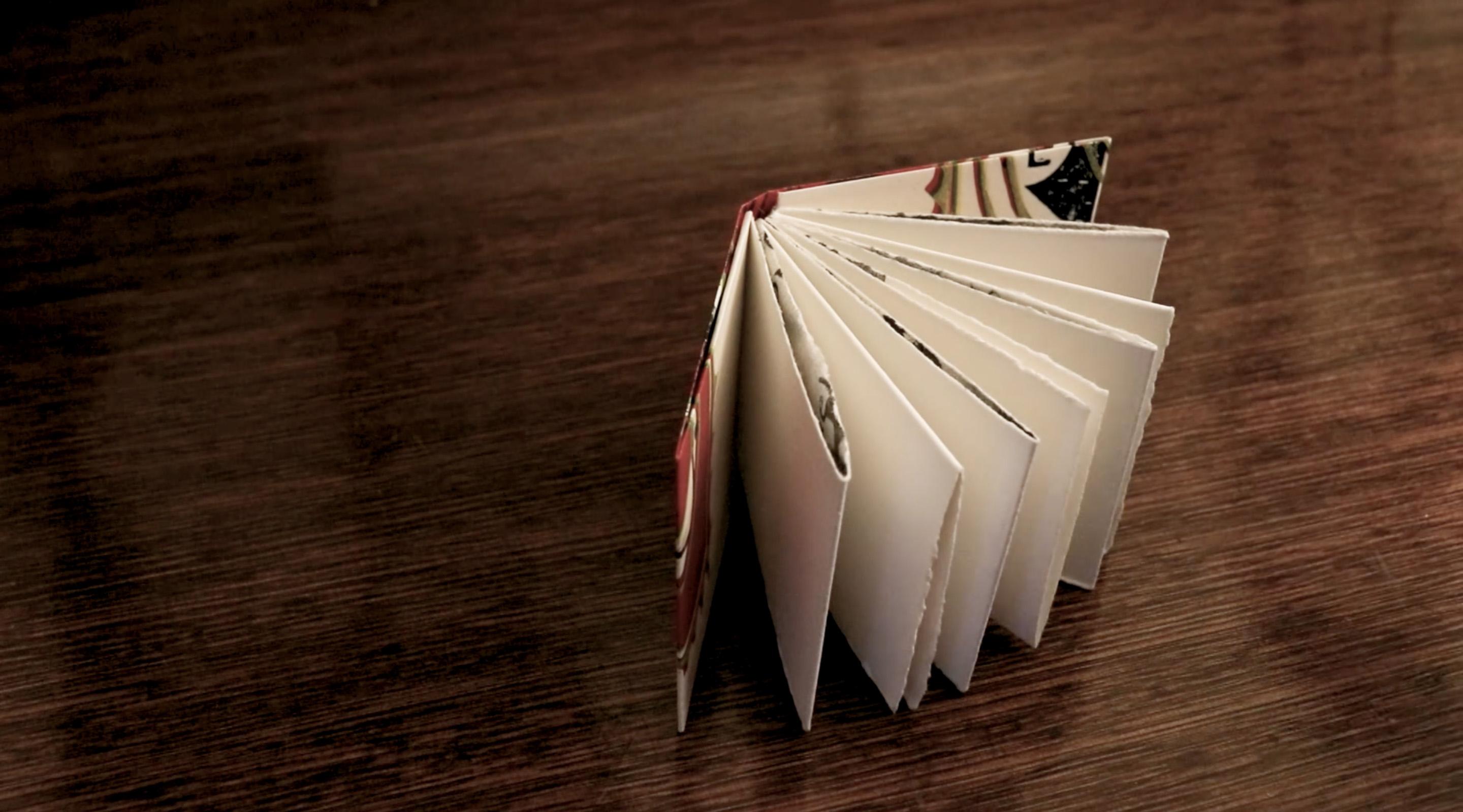 Fold a Snake Book From One Piece of Paper : 5 Steps (with Pictures ...