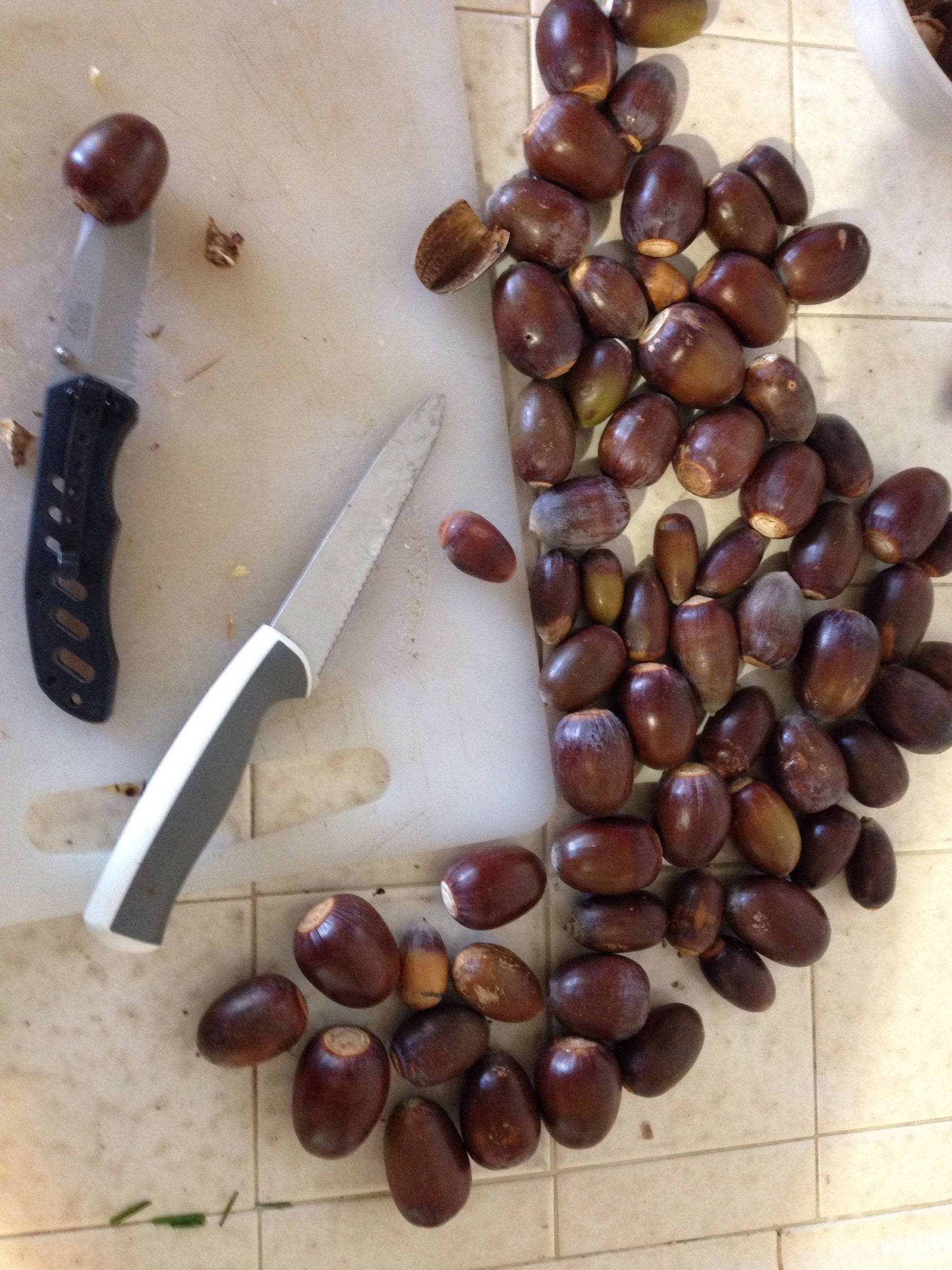 Edible Toasted Acorns! : 5 Steps - Instructables