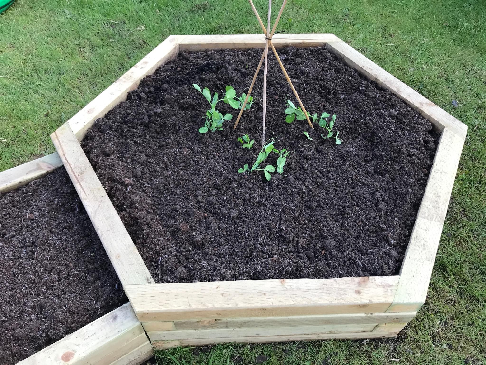 Multi Tiered Wooden Garden Vegetable Planter : 11 Steps (with Pictures ...