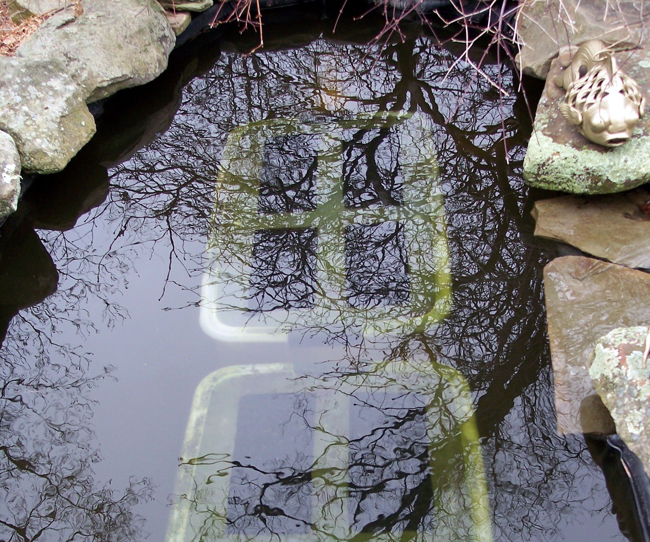 Pond Filter : 8 Steps (with Pictures) - Instructables