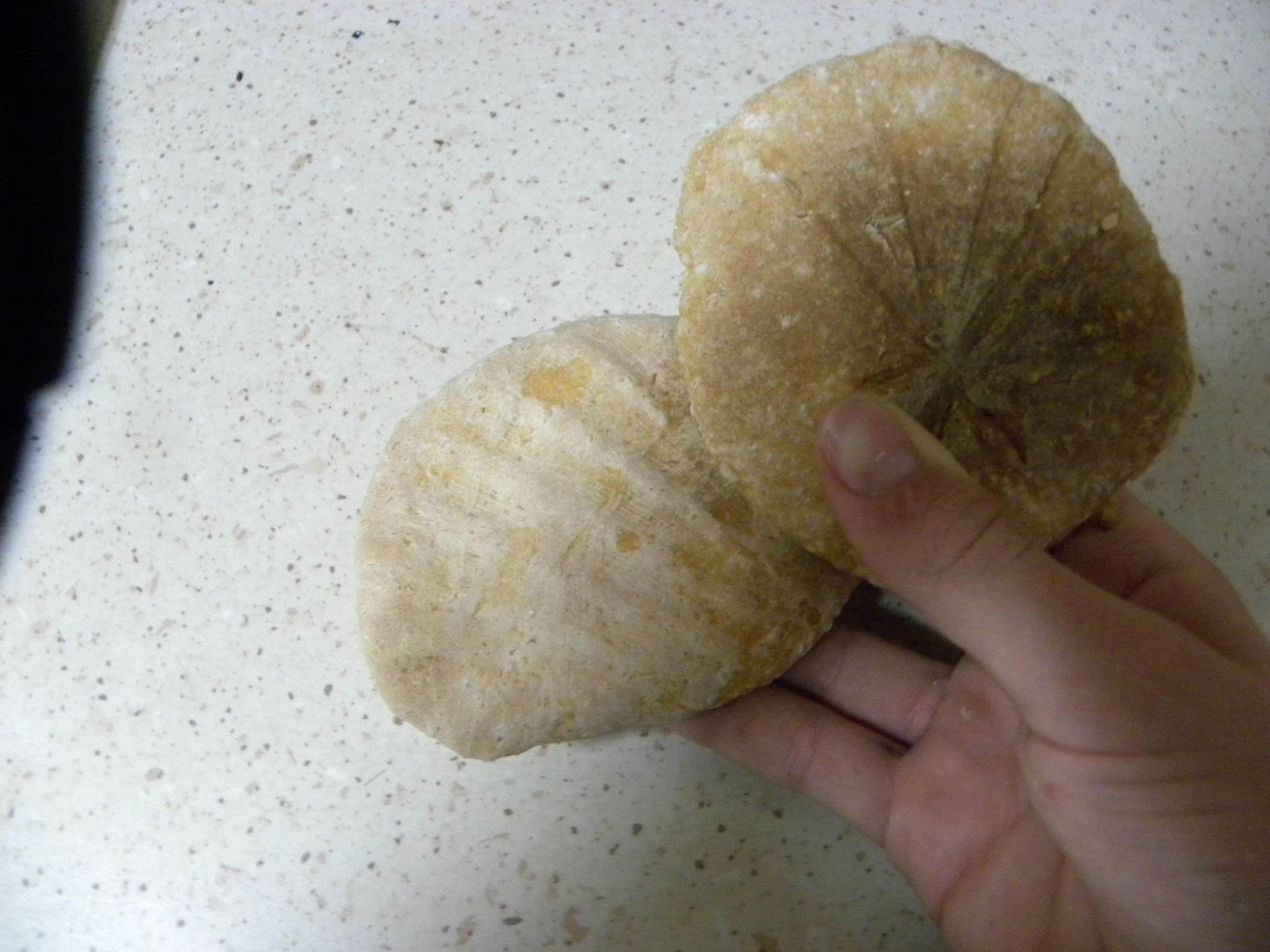 Diy "million-year-old" Fossils : 4 Steps - Instructables