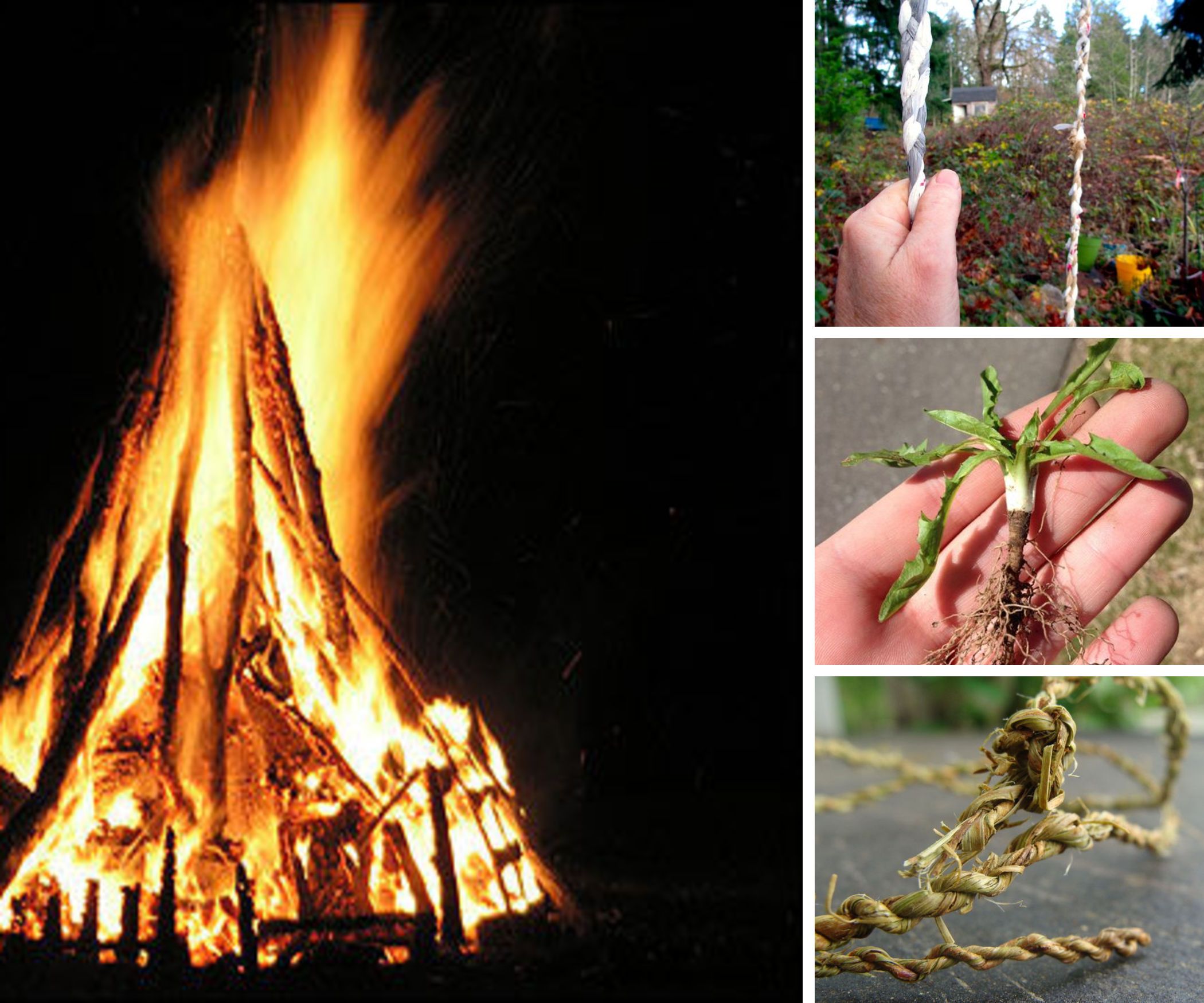 I Will Survive - Instructables