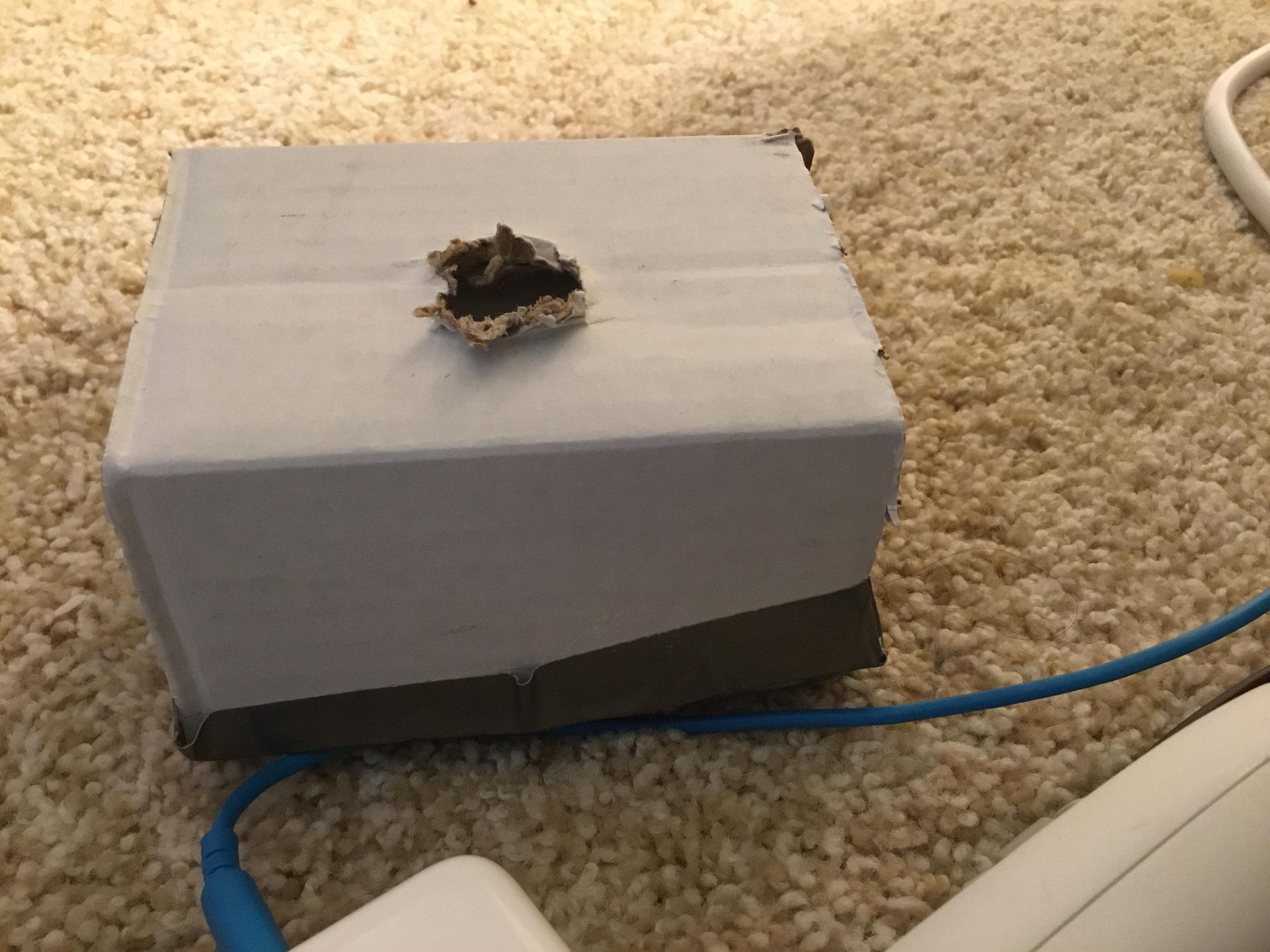 Raspberry Pi Motion Sensor IFTTT : 4 Steps - Instructables