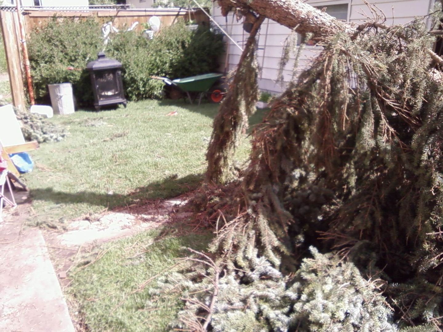 Restore a Backyard With Dead Soil (Before and After) : 9 Steps (with ...