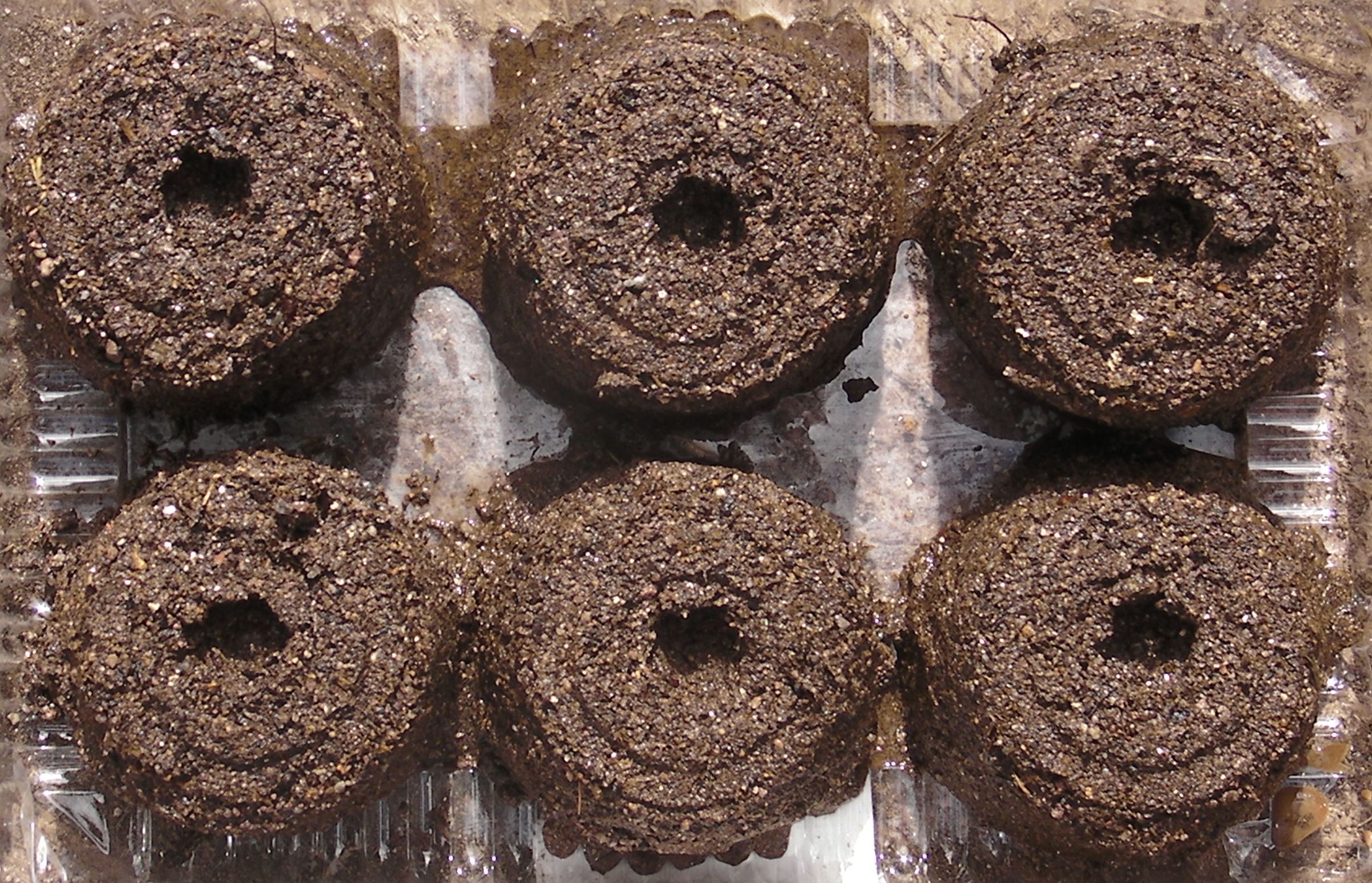 Make Super Cheap Seed Starters : 6 Steps (with Pictures) - Instructables
