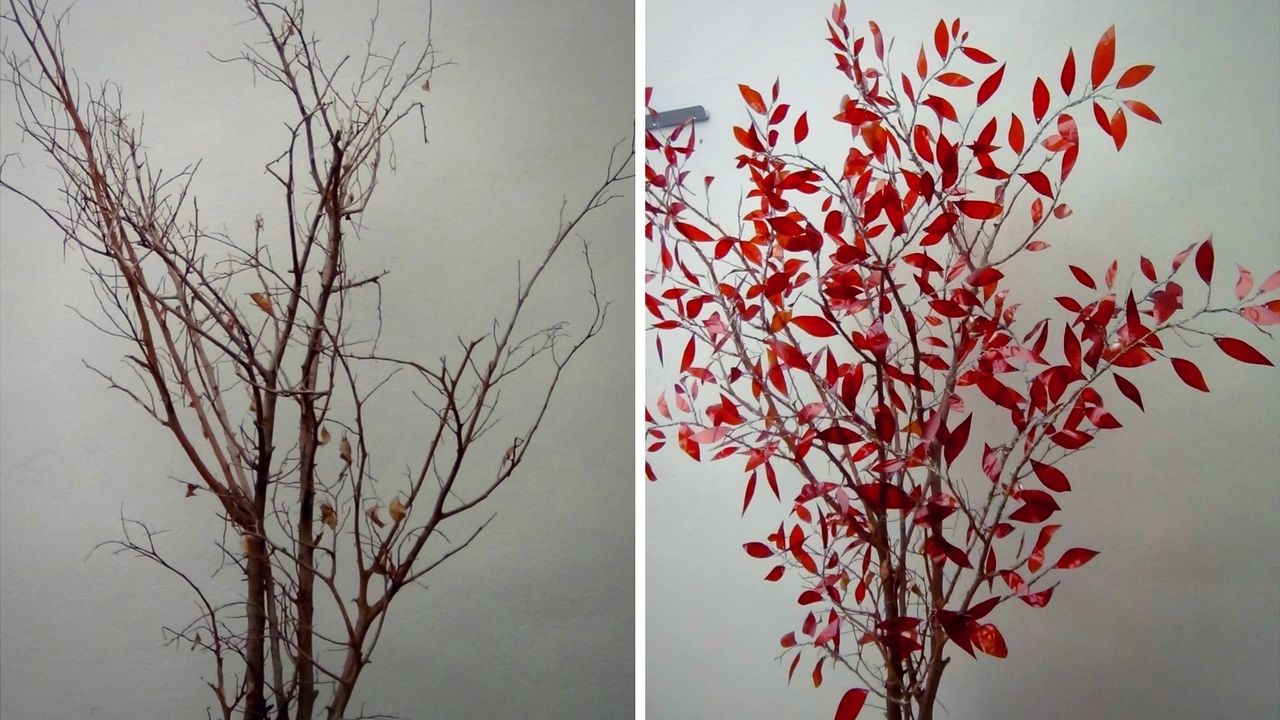 Tree Made Out of Recycled Plastic Bottles : 7 Steps (with Pictures ...