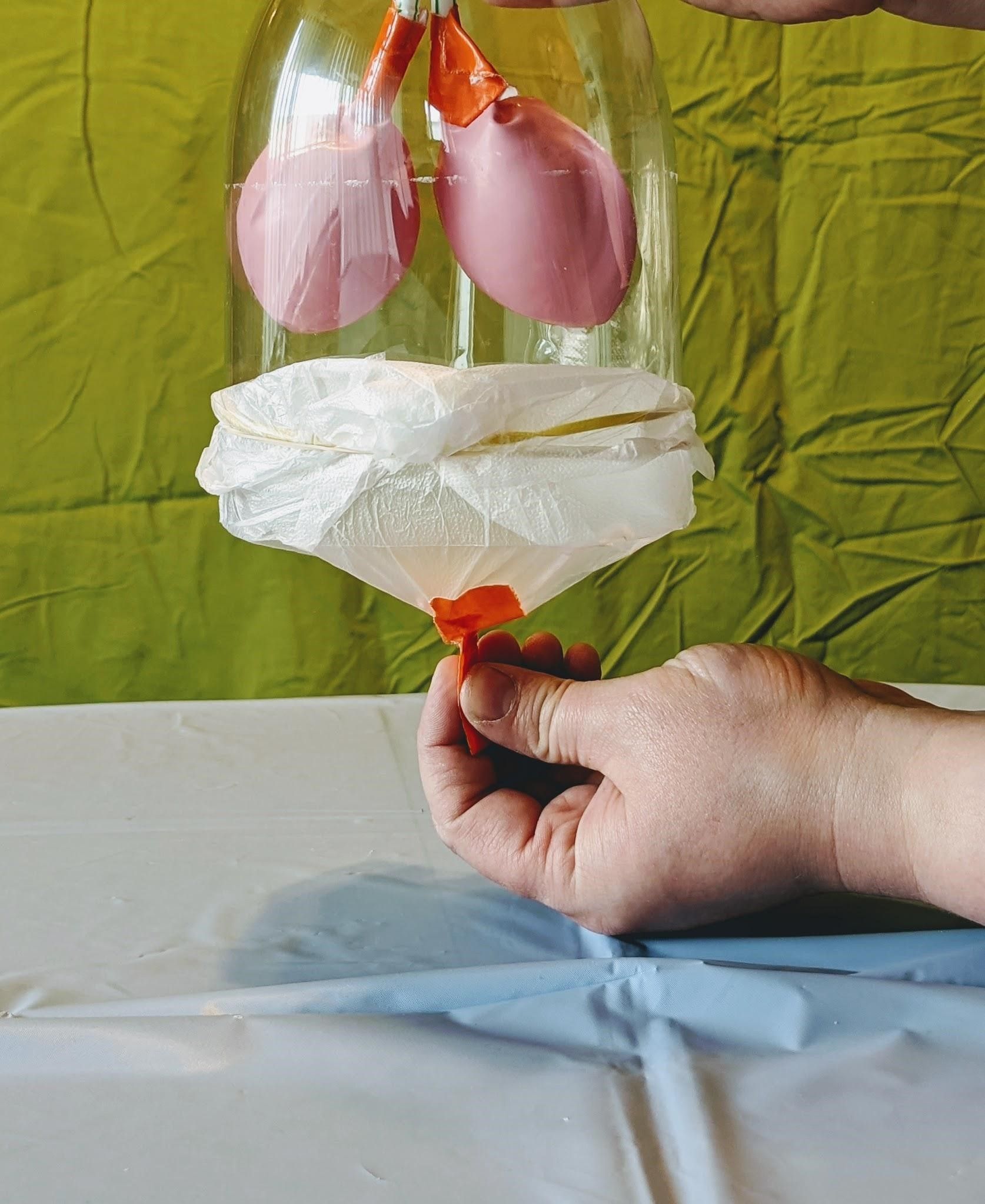 Make a Human Lung Model : 9 Steps (with Pictures) - Instructables