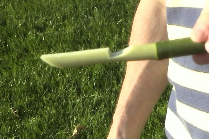 Willow Whistle : 7 Steps (with Pictures) - Instructables