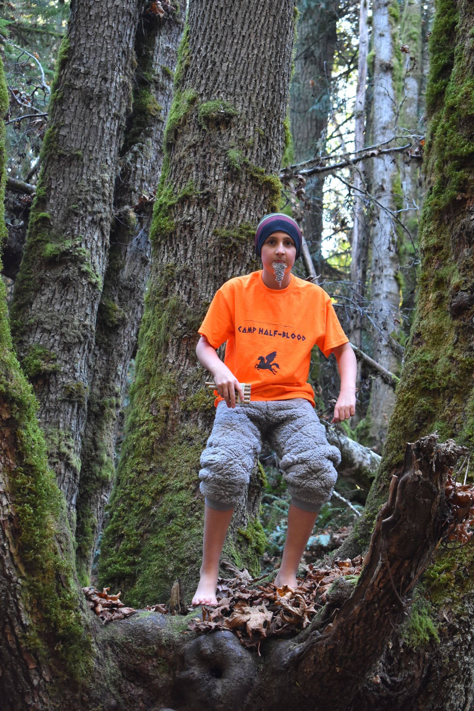 Grover Satyr Percy Jackson