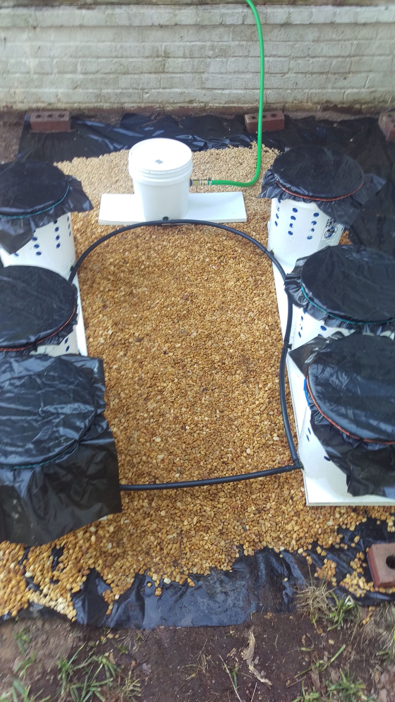 Self Watering Bucket Garden : 3 Steps - Instructables