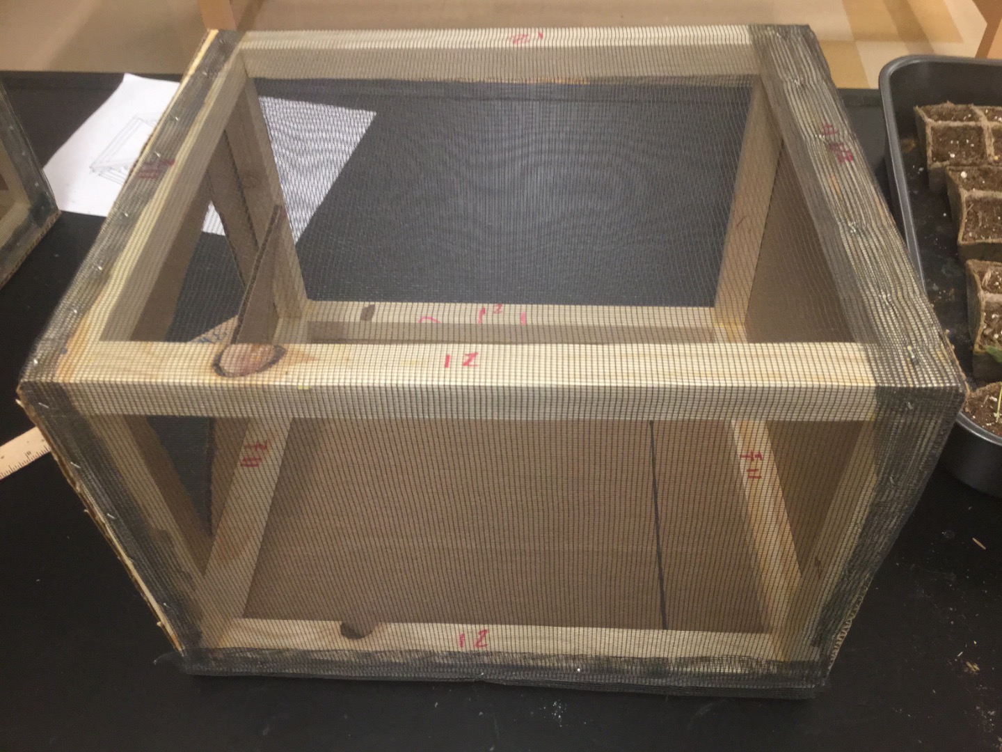 How to Build a Bug Box : 5 Steps - Instructables