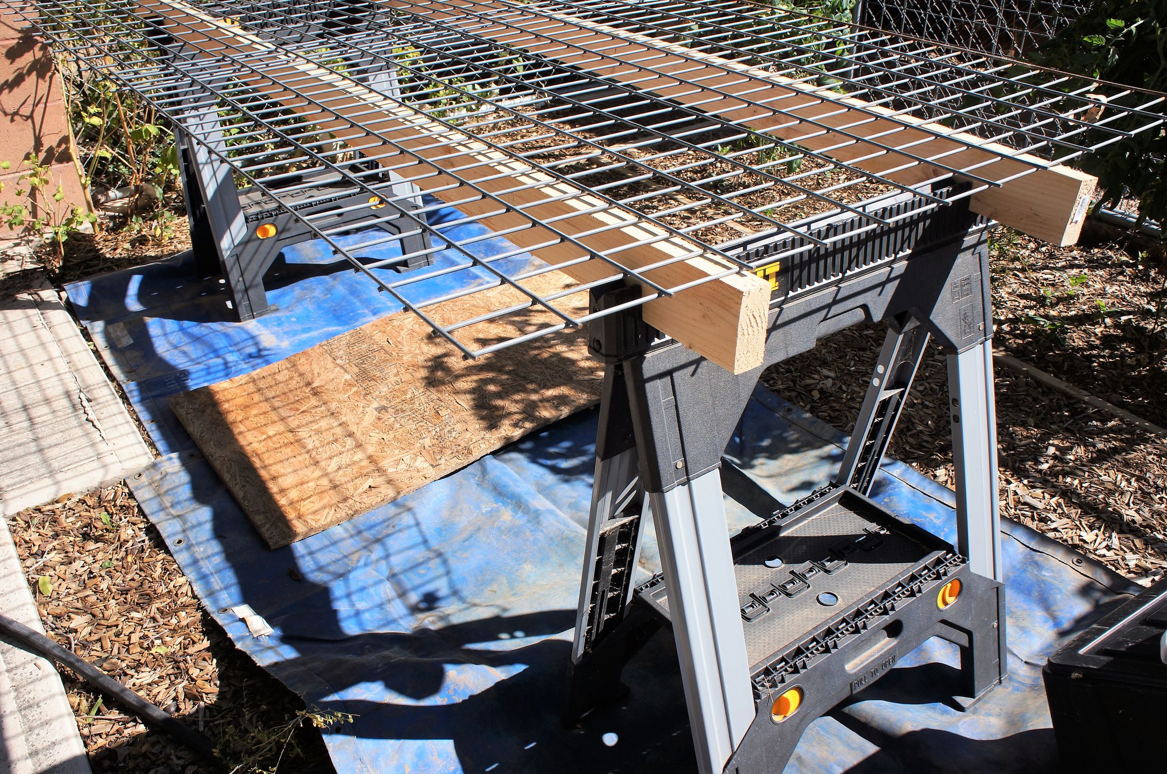 How to Process Card and Dye Raw Wool : 12 Steps (with Pictures ...