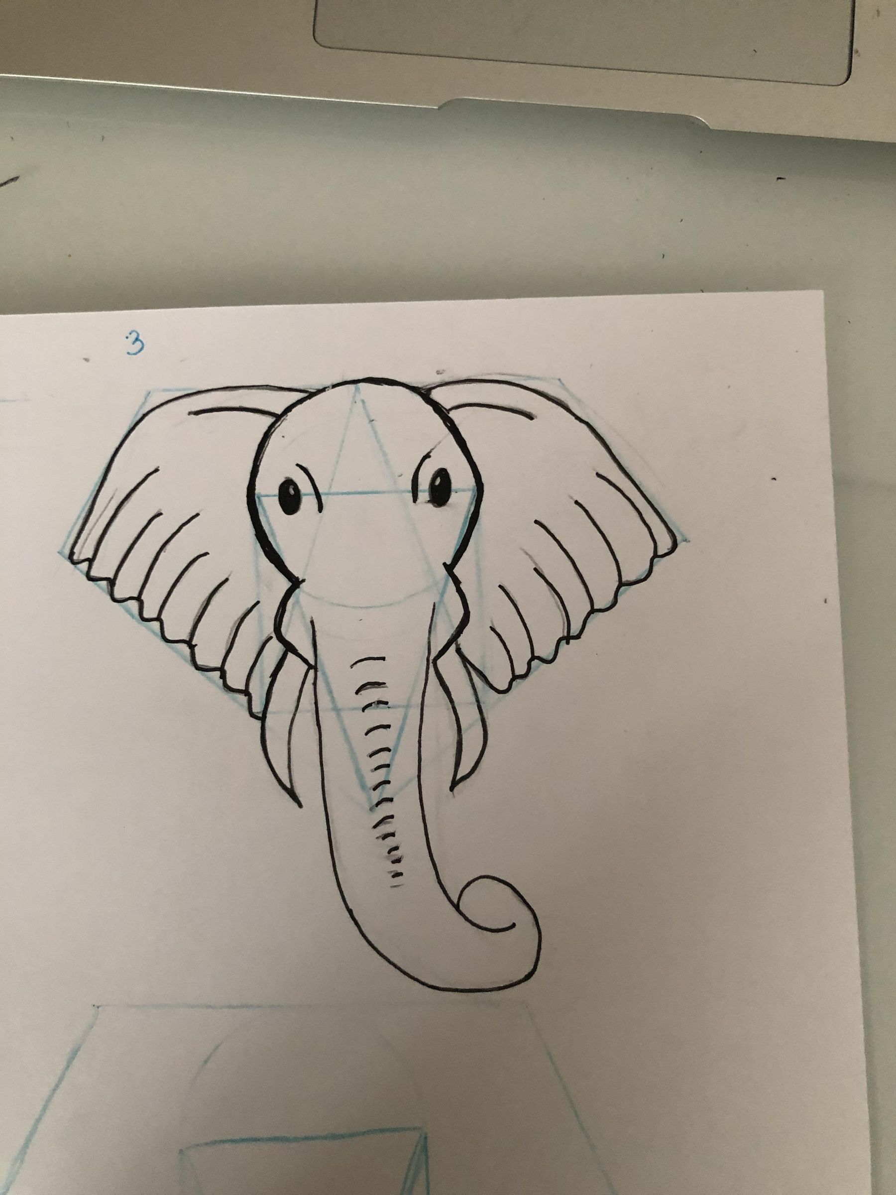 Elephants Face Drawing