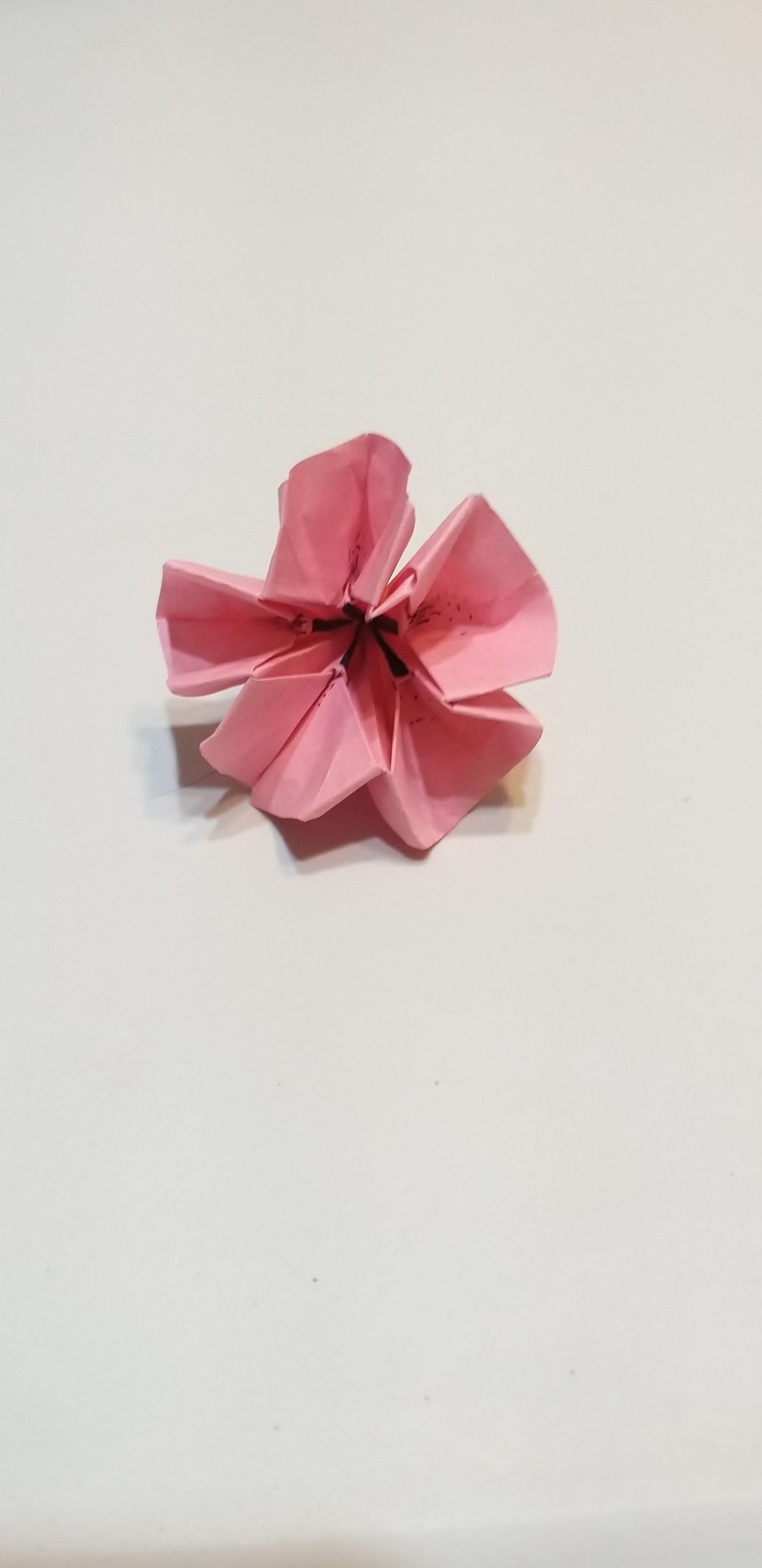 Origami Cute Flower : 3 Steps - Instructables