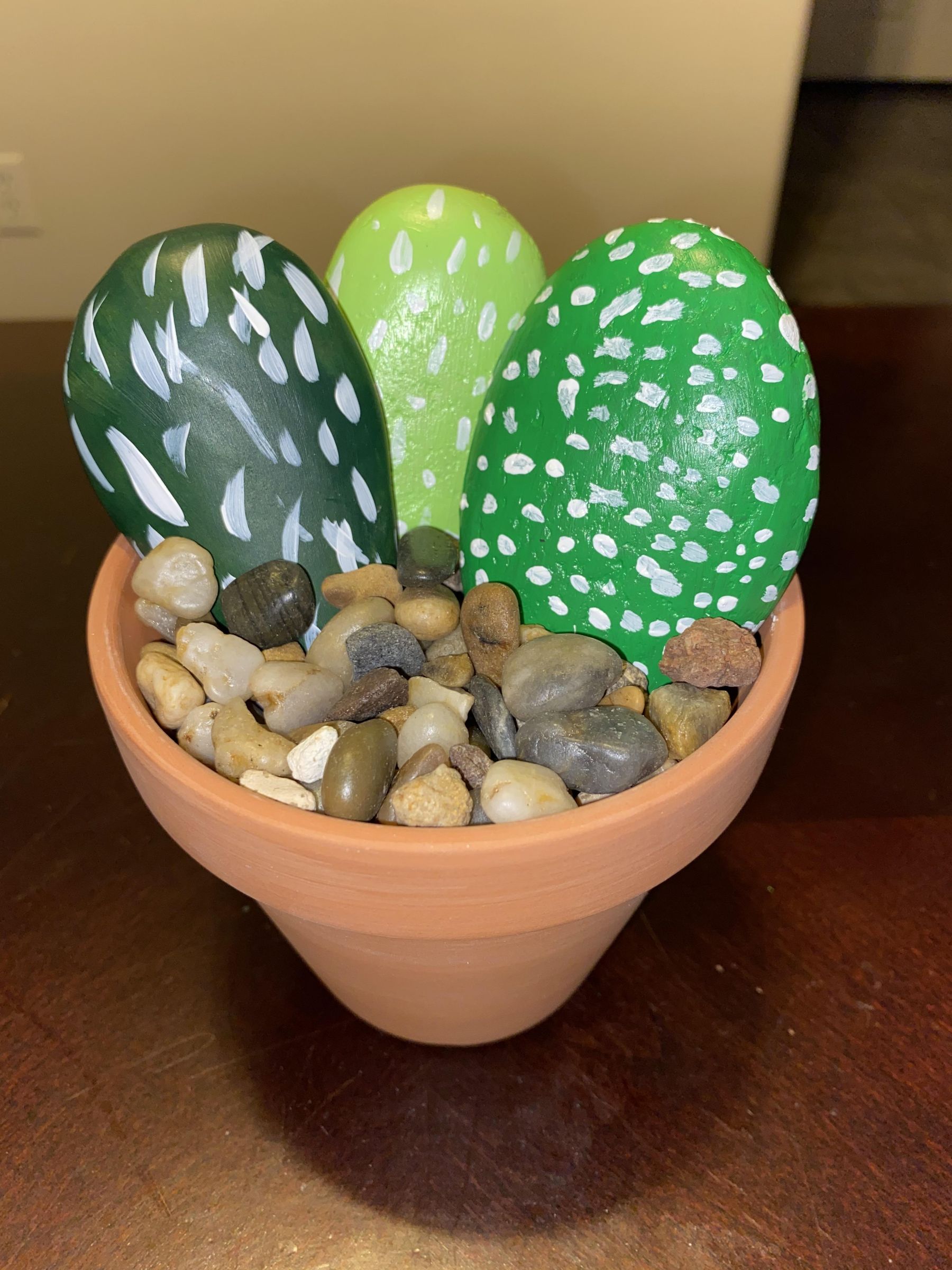 Living Rocks in a Pot : 10 Steps (with Pictures) - Instructables