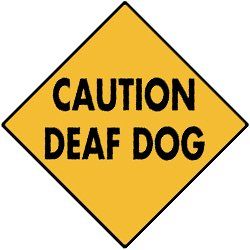 A Vibrating Deaf Dog Caller Collar
