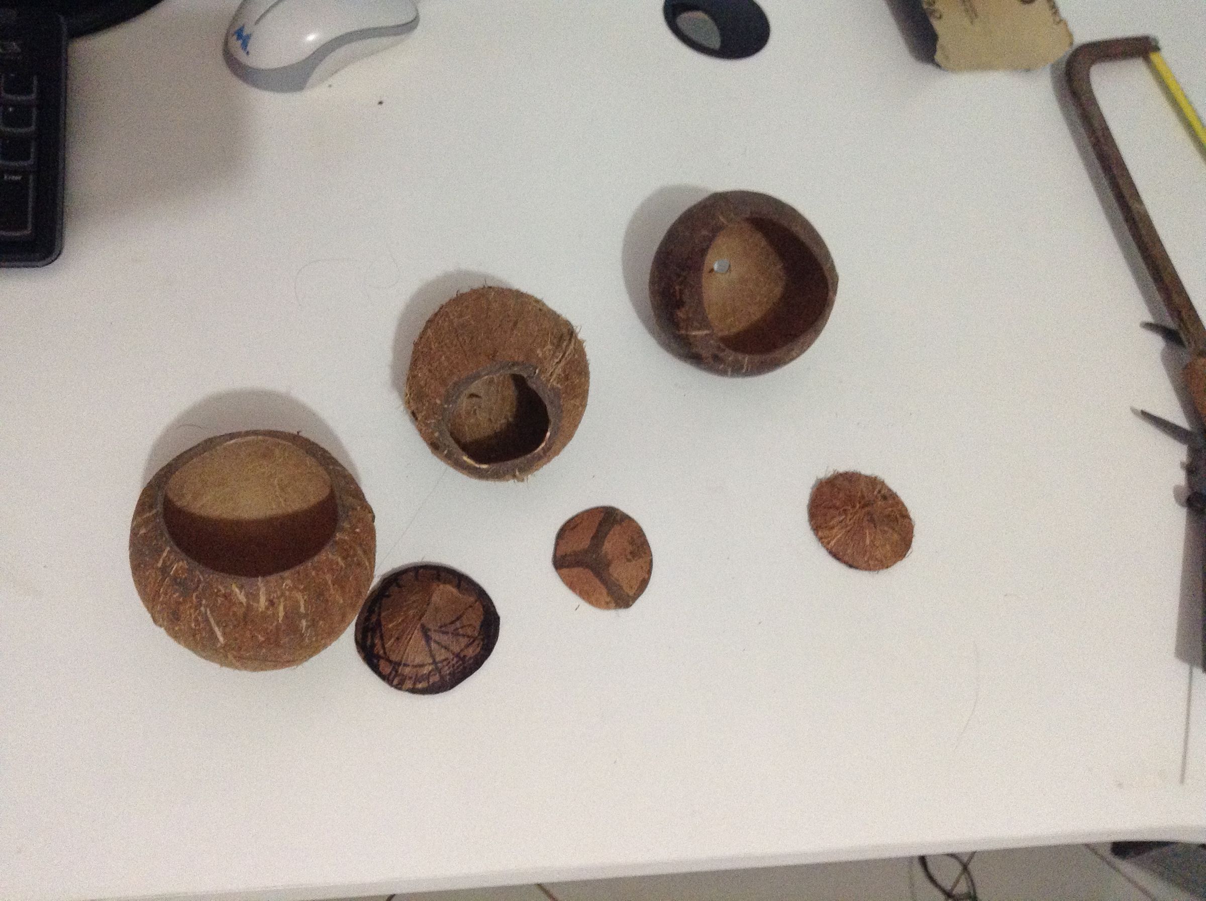 Coconut Speaker. : 4 Steps (with Pictures) - Instructables