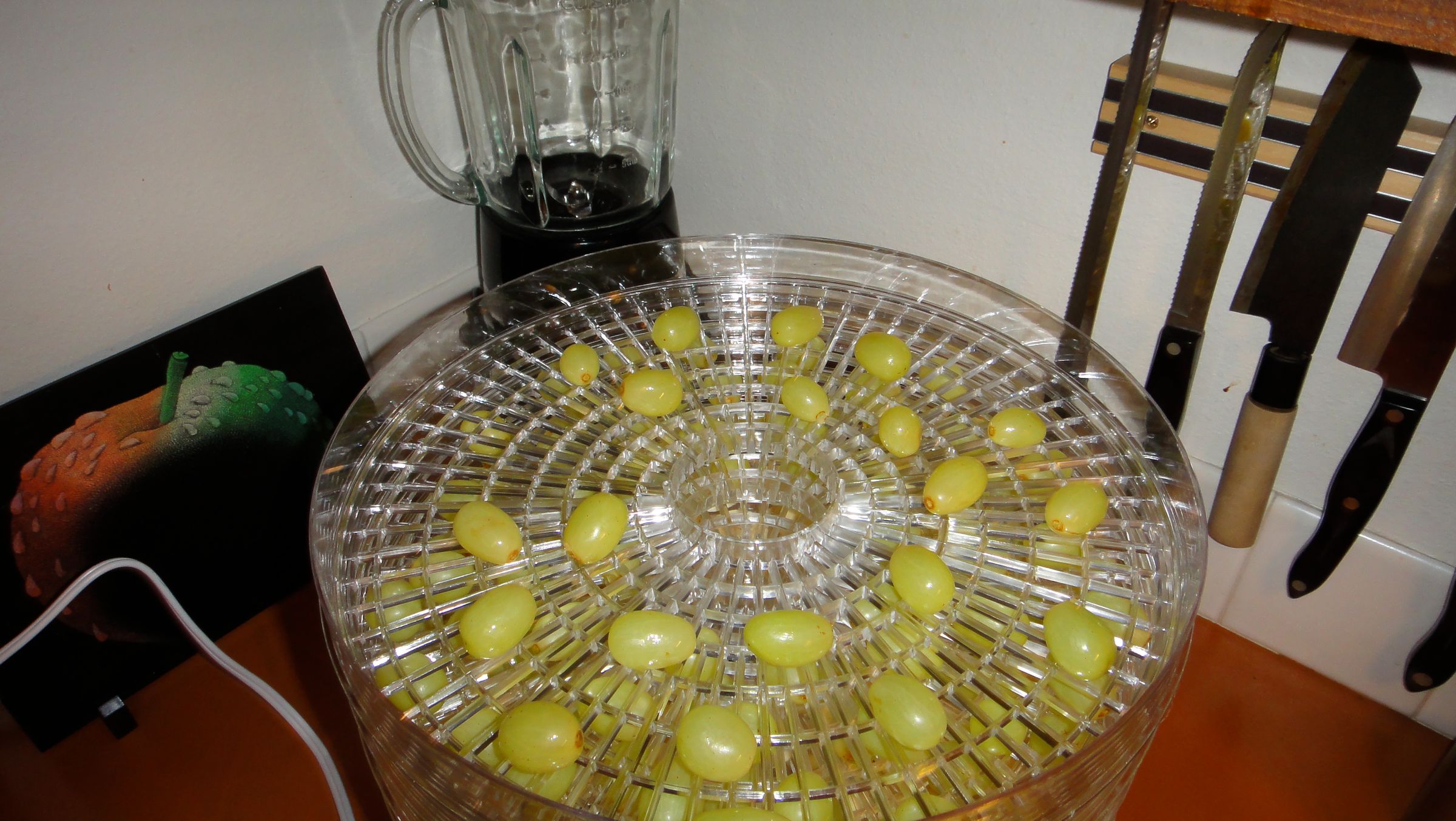 Make Raisins With a Dehydrator : 4 Steps (with Pictures) - Instructables