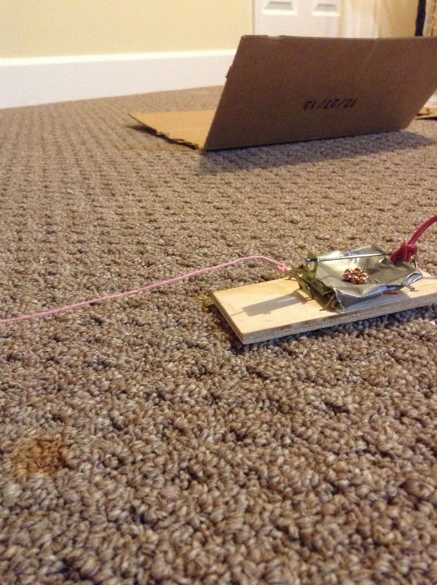 Catapult Mouse Trap : 5 Steps - Instructables