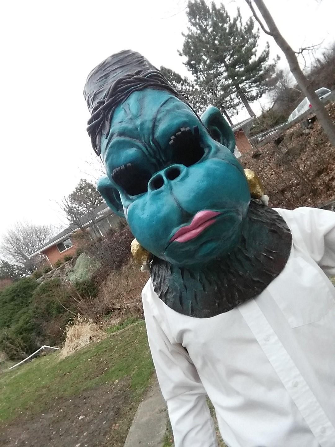 Shannon Mask : 7 Steps (with Pictures) - Instructables