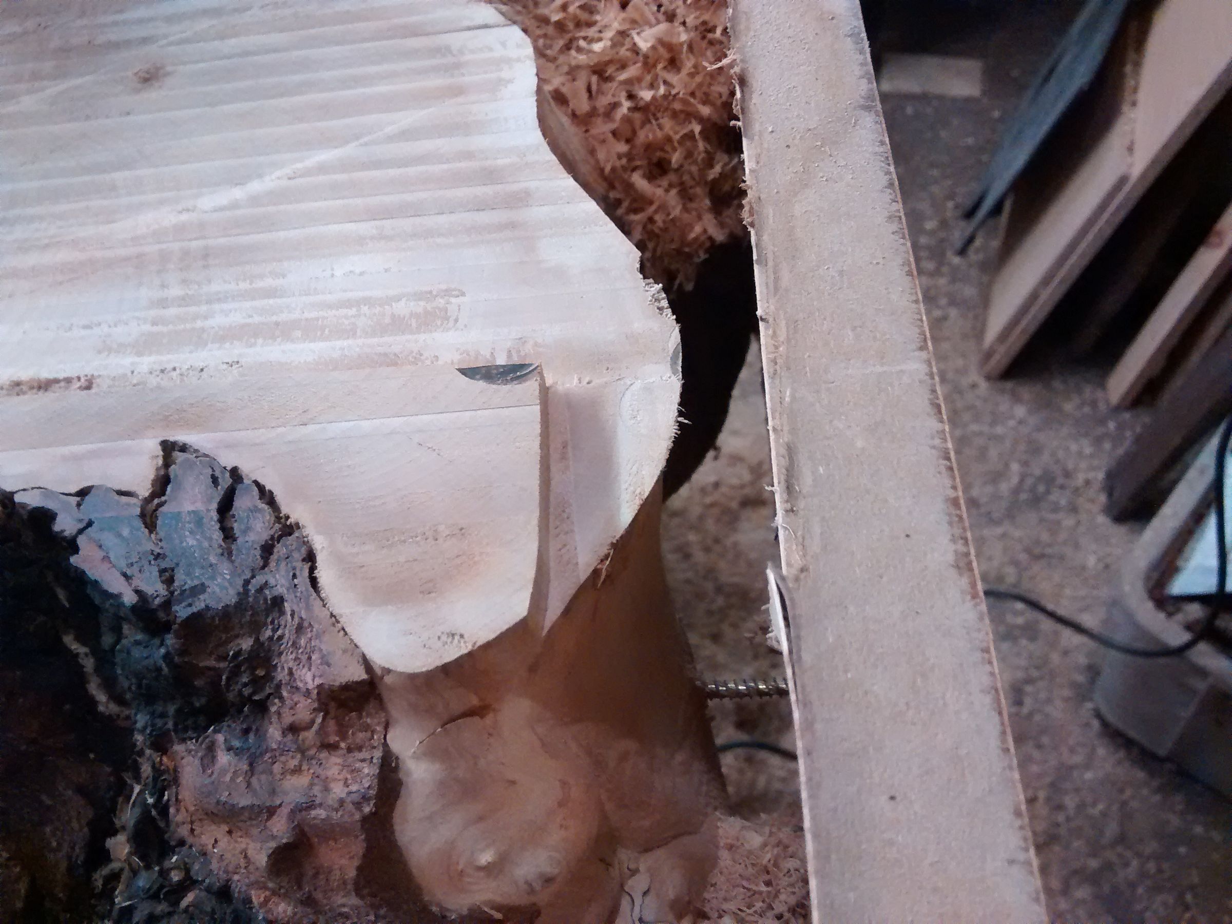 Large Log Slice Table : 9 Steps (with Pictures) - Instructables