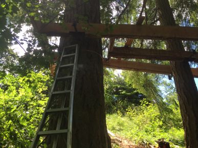 Treehouse Build : 10 Steps (with Pictures) - Instructables