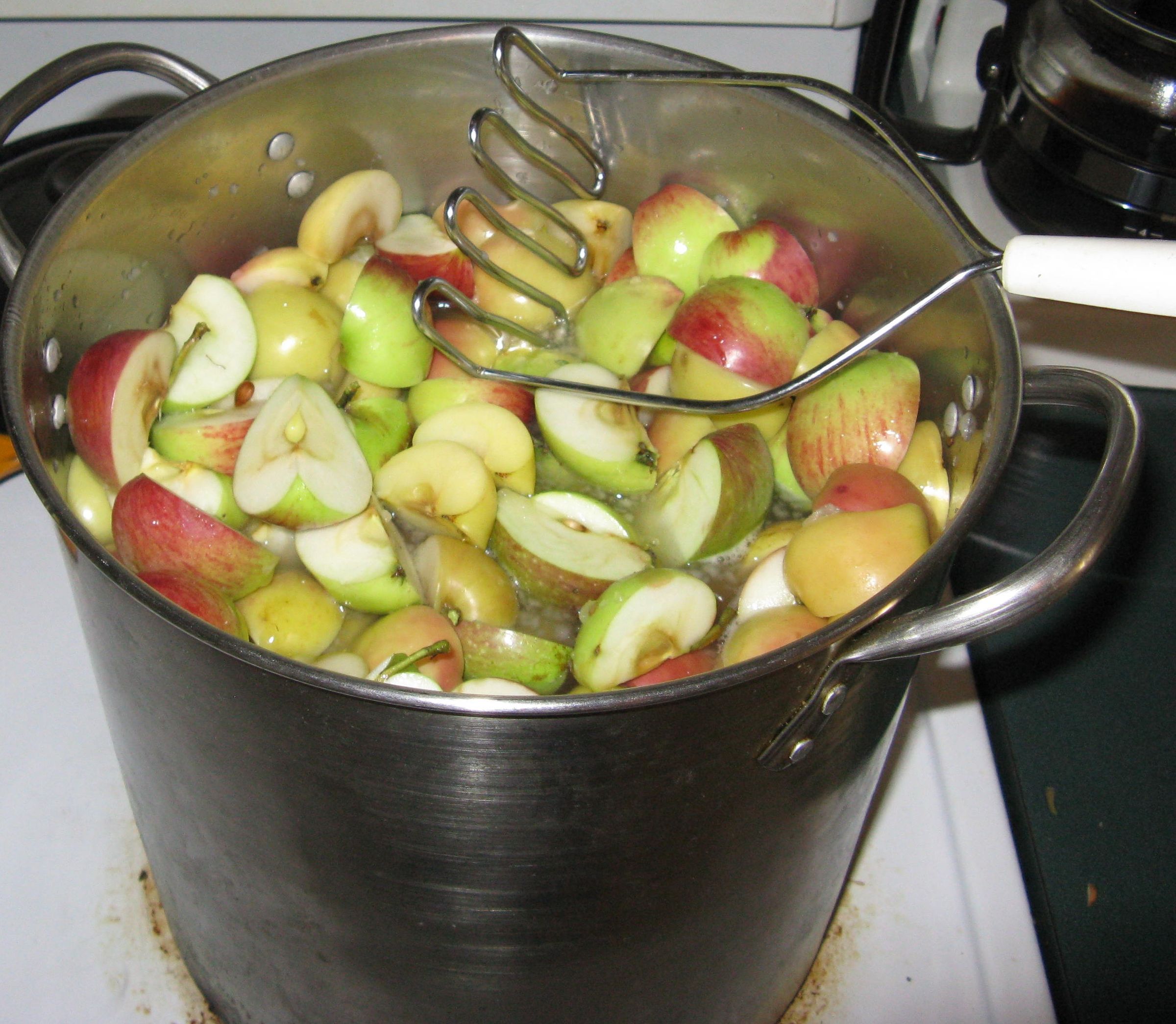 Organic Wild Apple Applesauce : 12 Steps (with Pictures) - Instructables