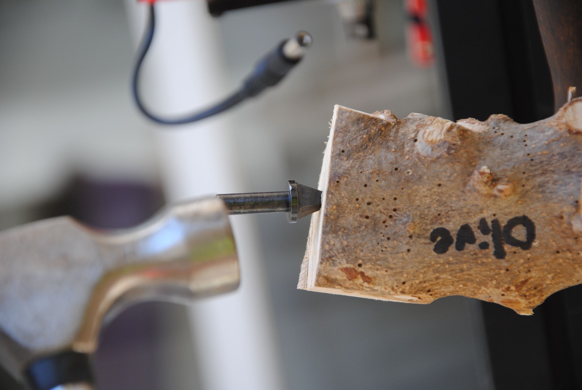 Finger Mallet From a Tree Branch | DIY Woodworking Tools #8 : 10 Steps ...